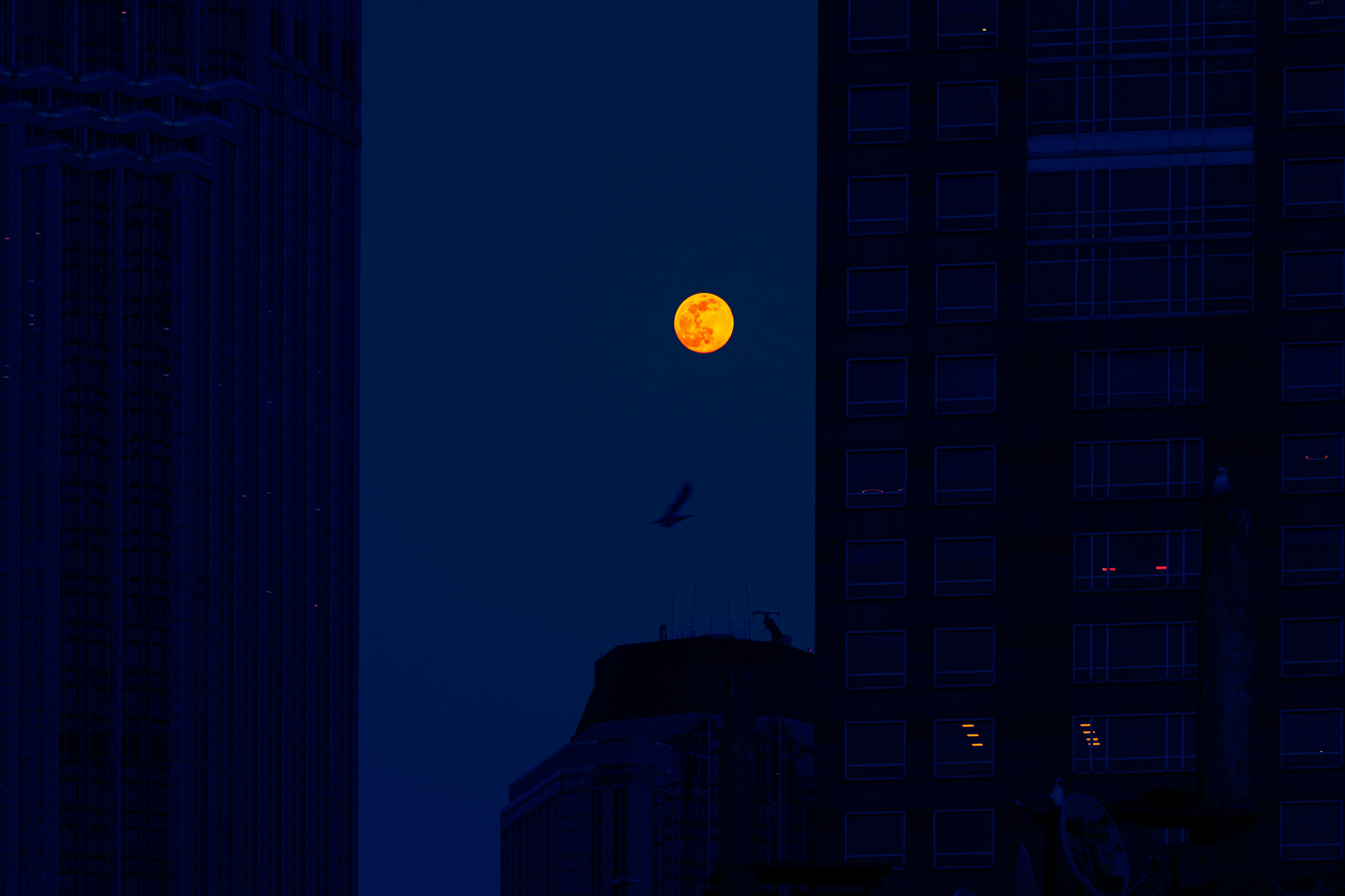 a full moon rises over a city skyline