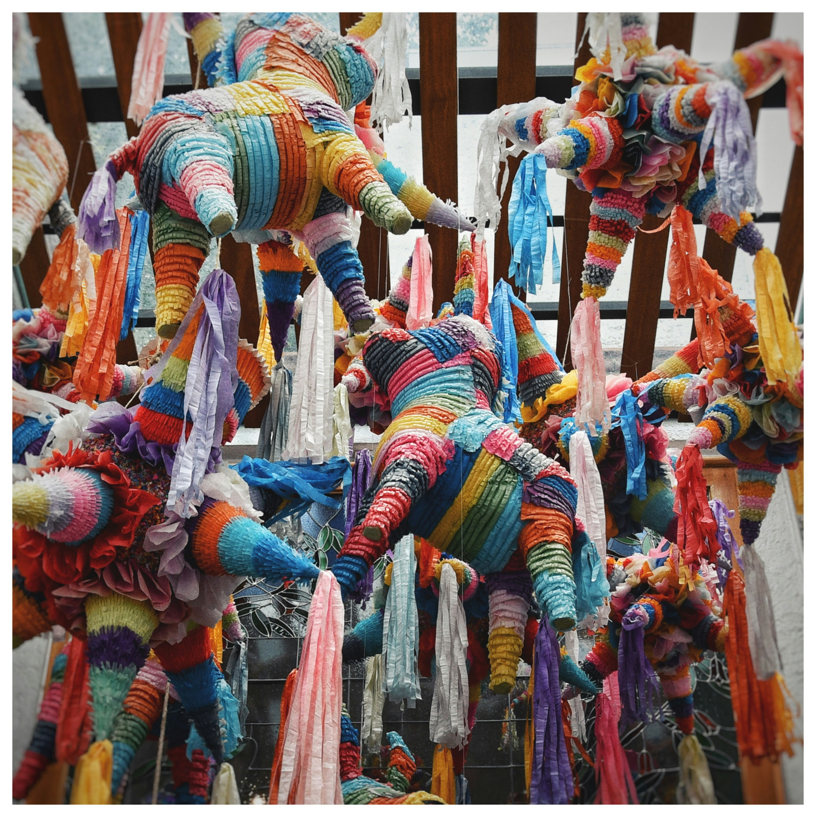 A group of colorful objects hanging from a ceiling photo – Free Cdmx ...