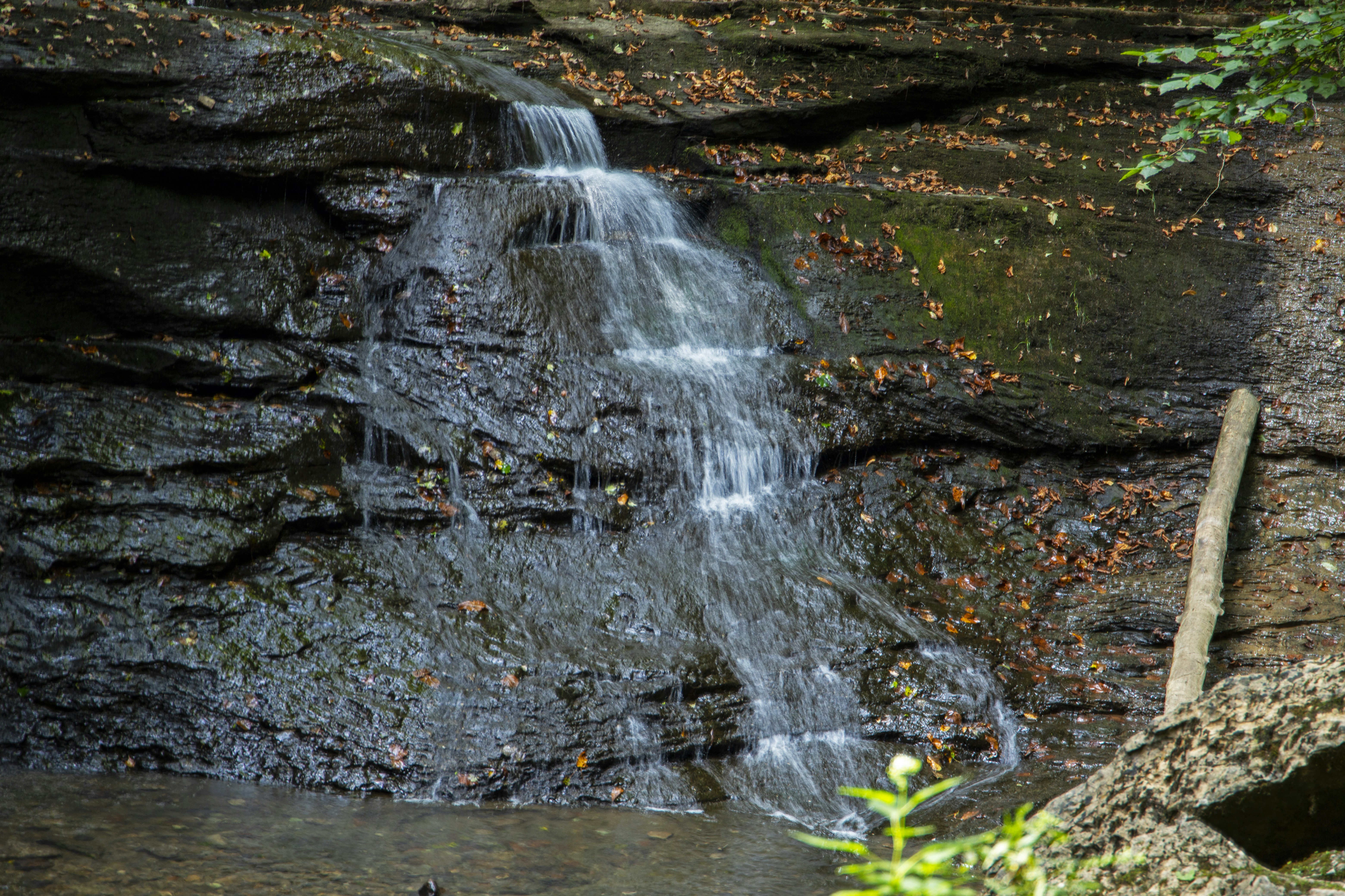 A small waterfall in the middle of a forest photo – Free Hell's hollow ...