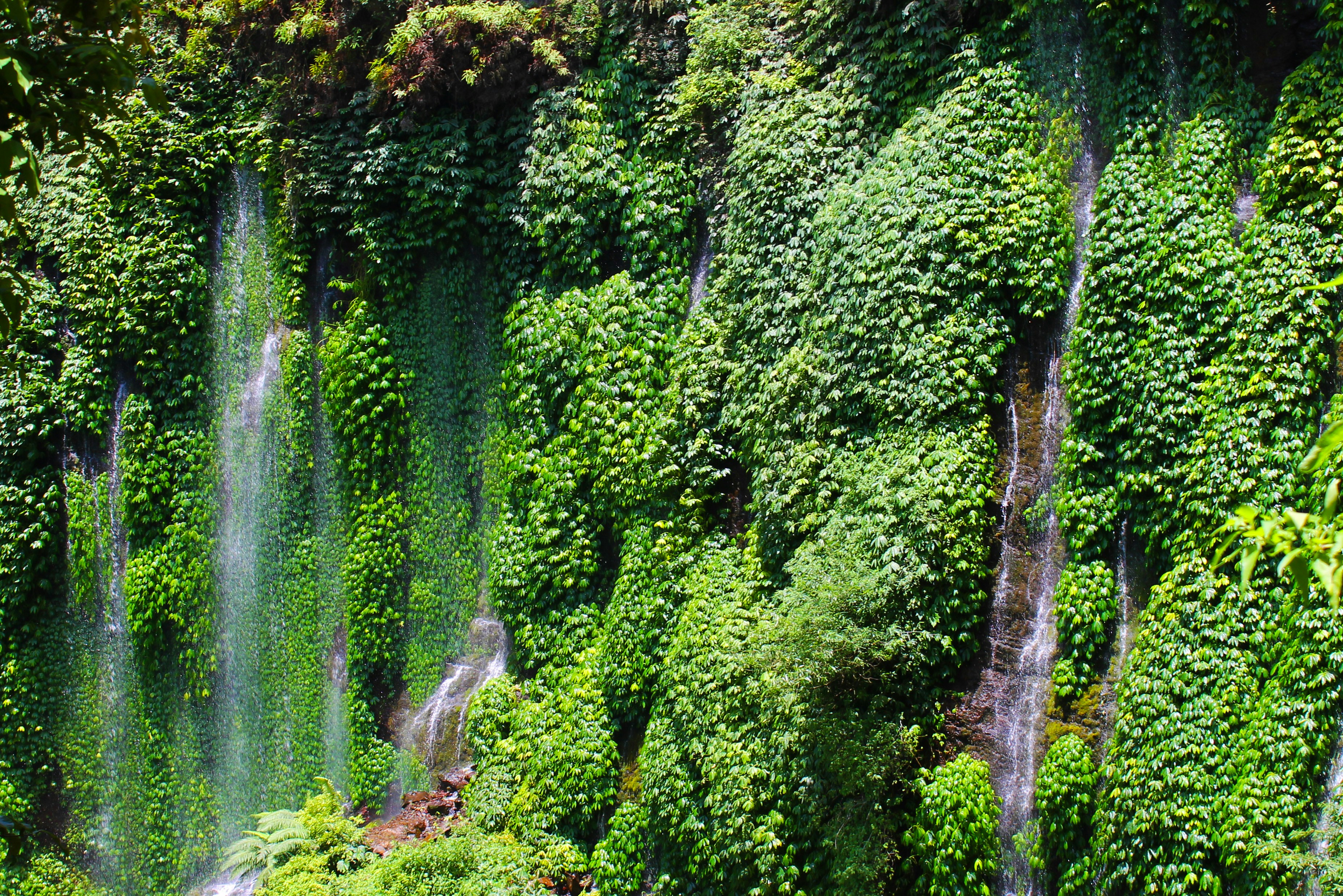 Waterfalls cascading down a verdant cliffside, surrounded by dense greenery and vibrant foliage.