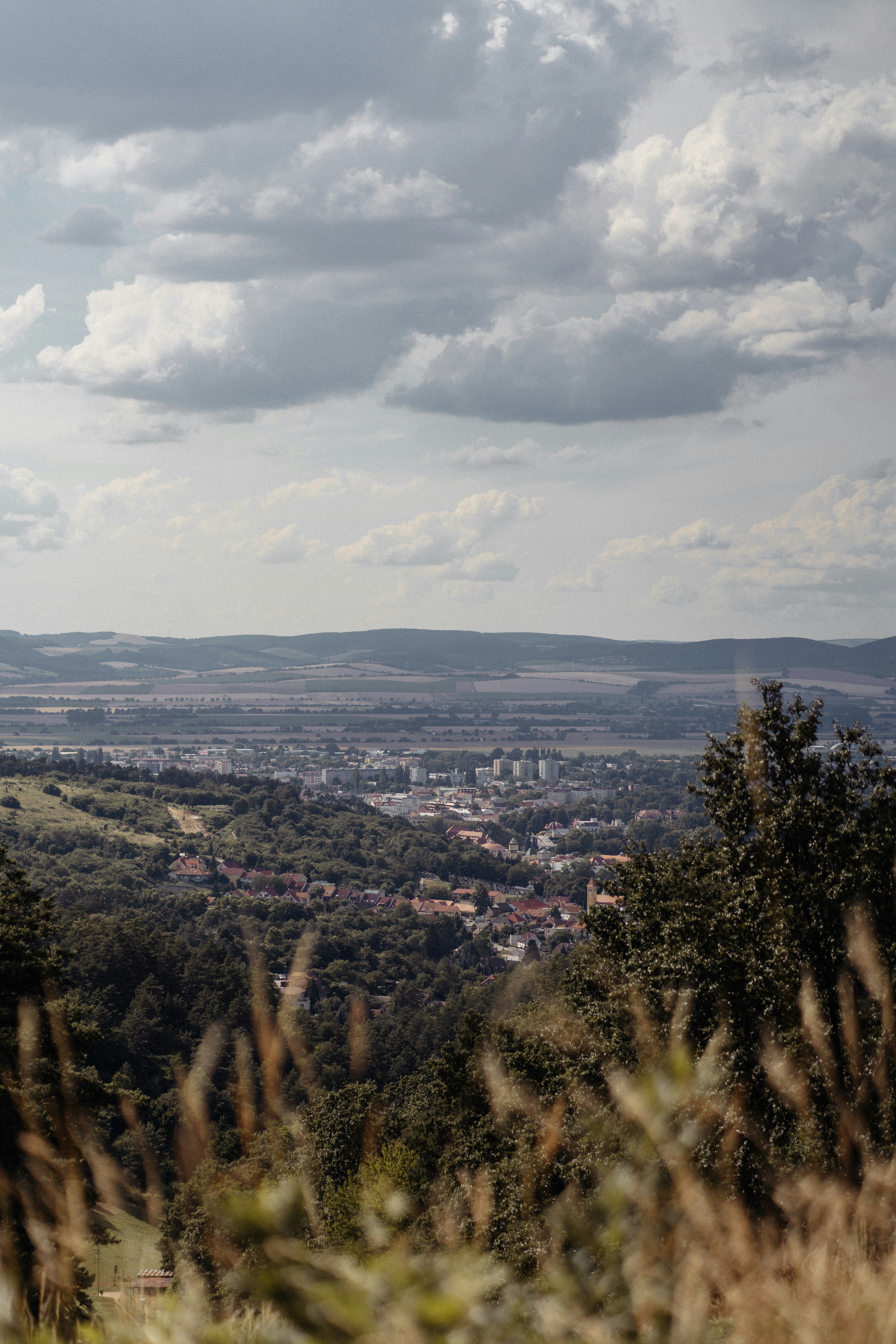 Vast valley landscape with a blend of urban structures and lush greenery under a dramatic sky, showcasing the harmony between nature and development.