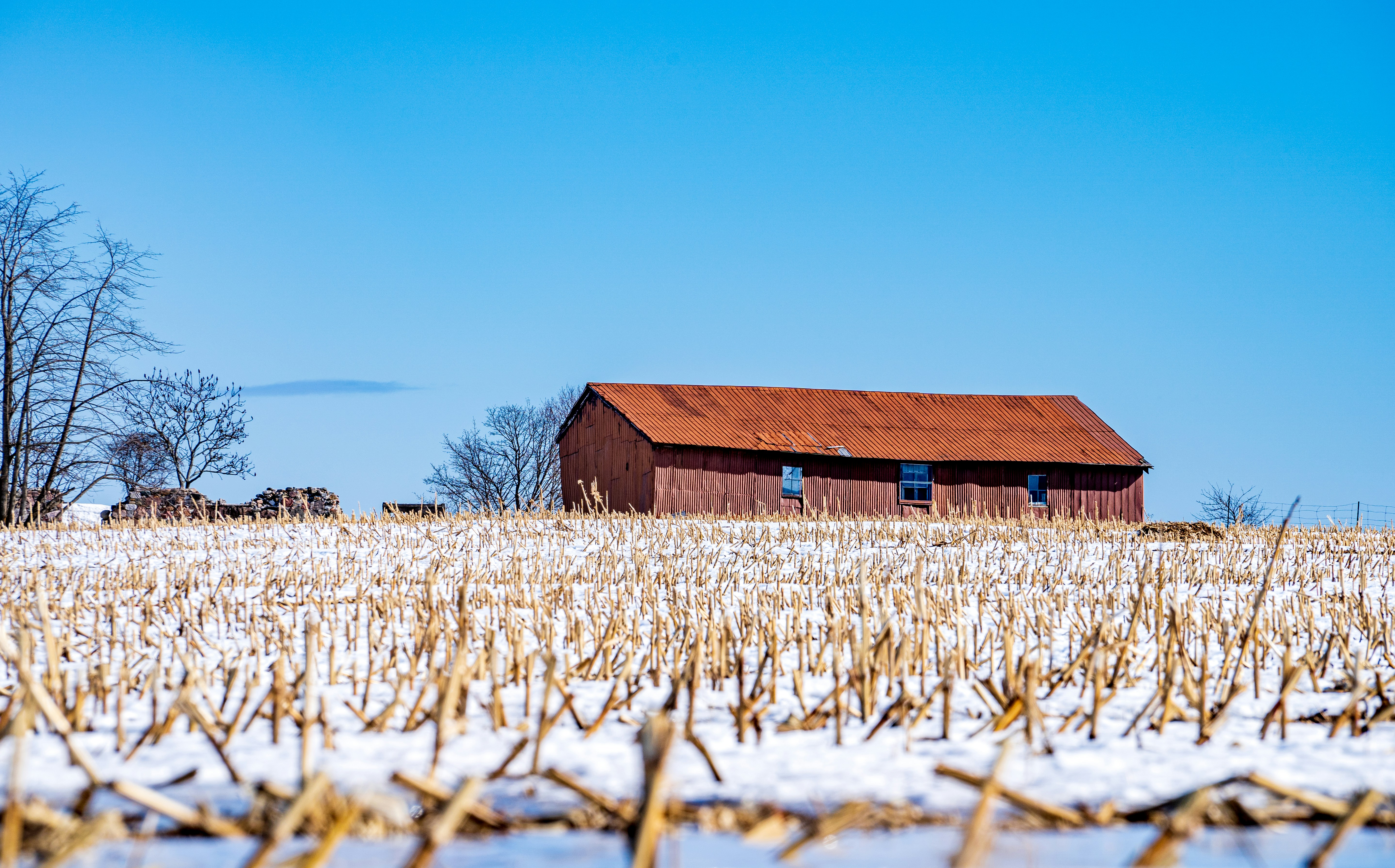A red barn in a snowy field with a blue sky photo – Free Farm Image on ...