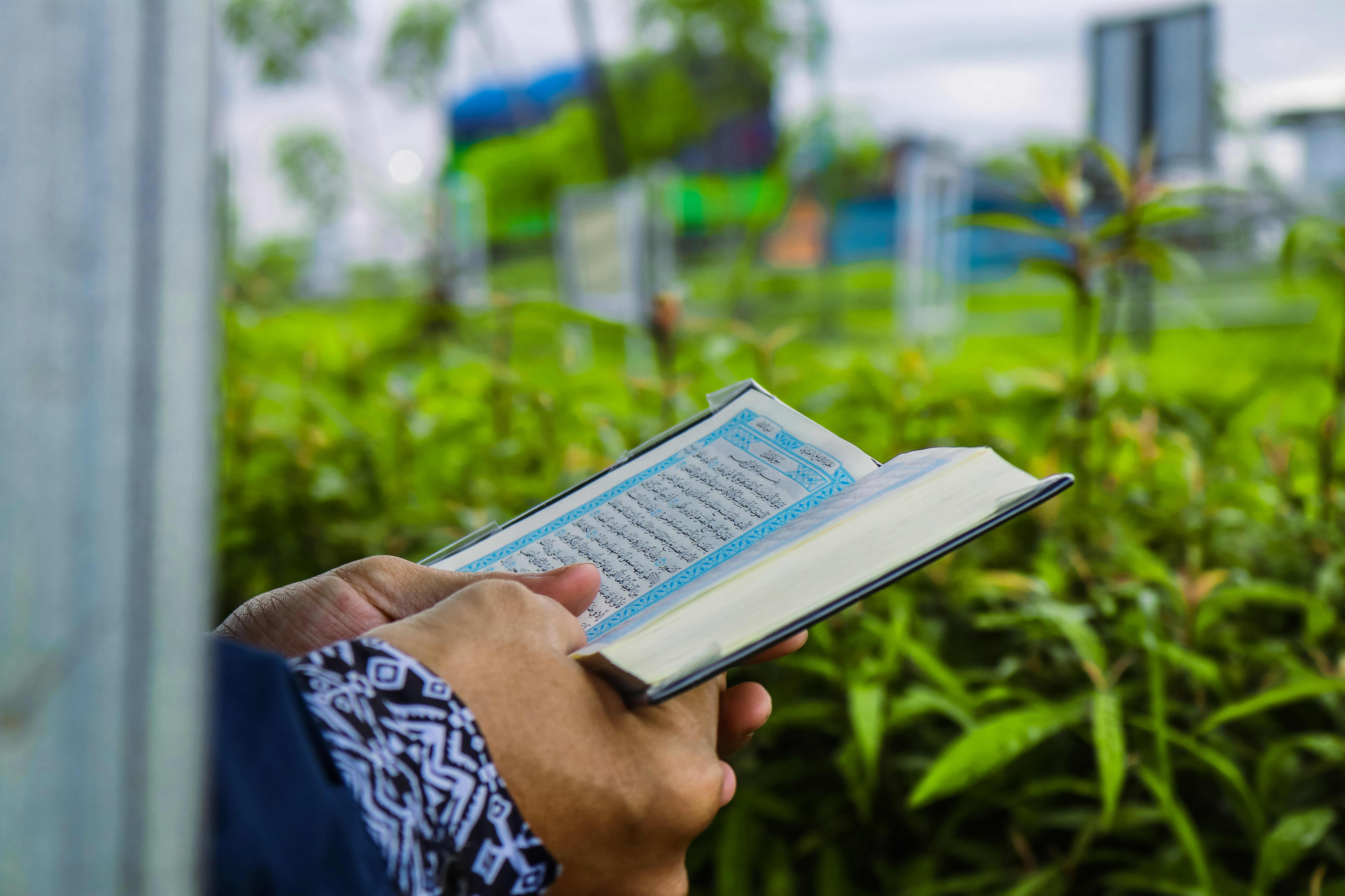 Hands gently holding an open Quran amidst lush greenery, symbolizing peace and contemplation.