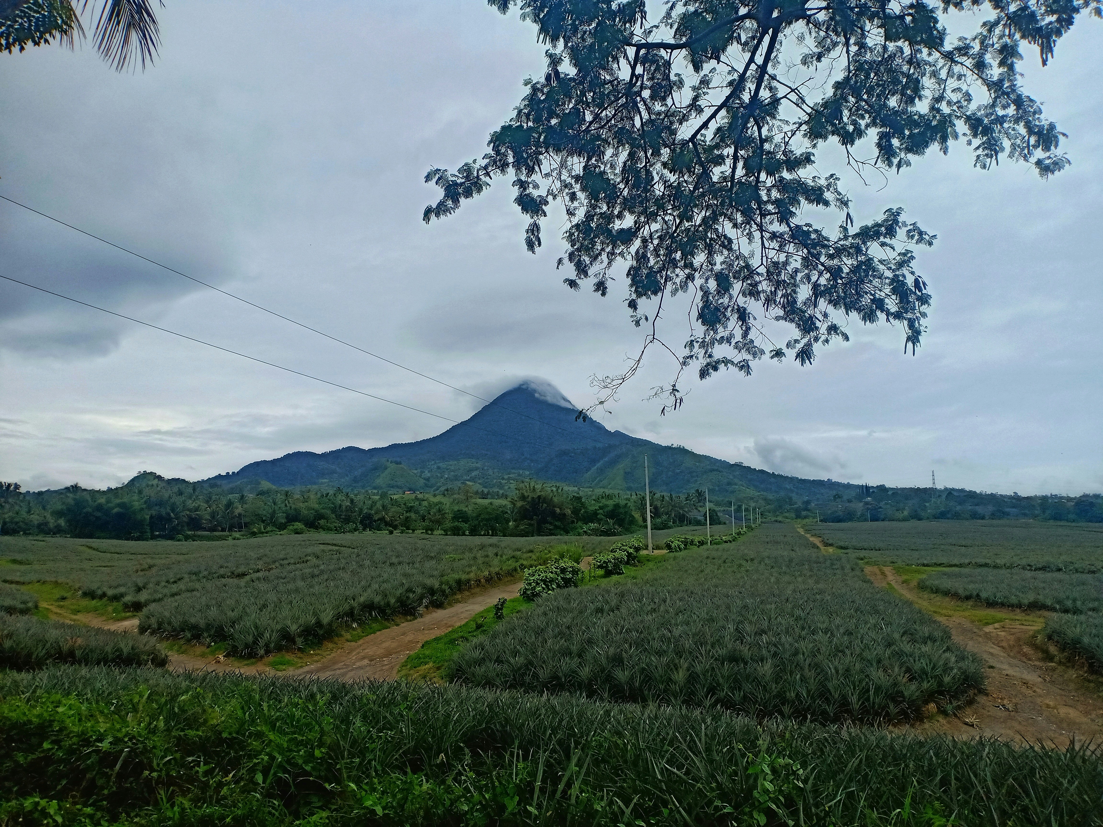 The majestic Mount Matutum of the South! ⛰