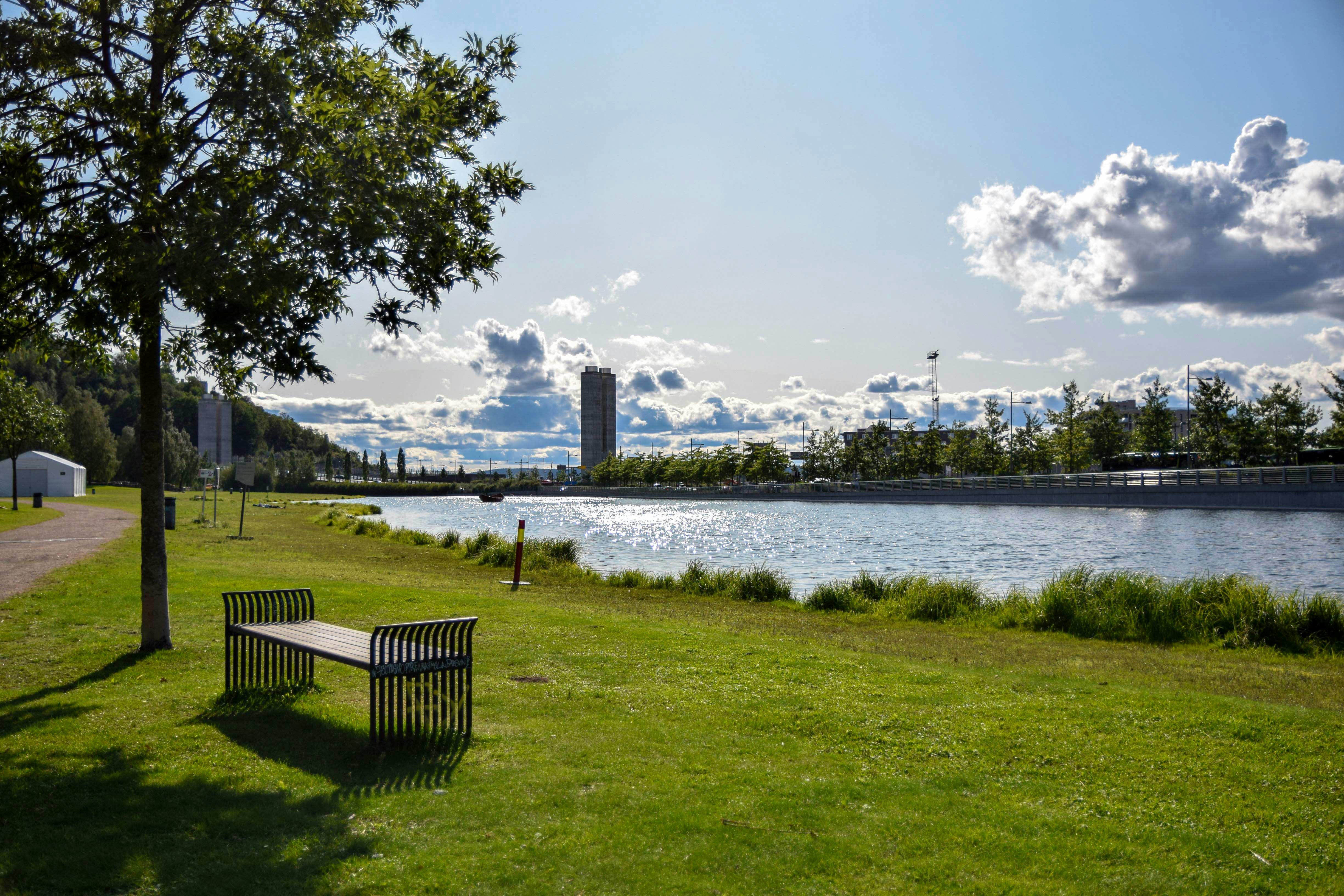 A tranquil park scene featuring a bench beside a calm river, framed by lush greenery and distant buildings under a bright blue sky with fluffy clouds.