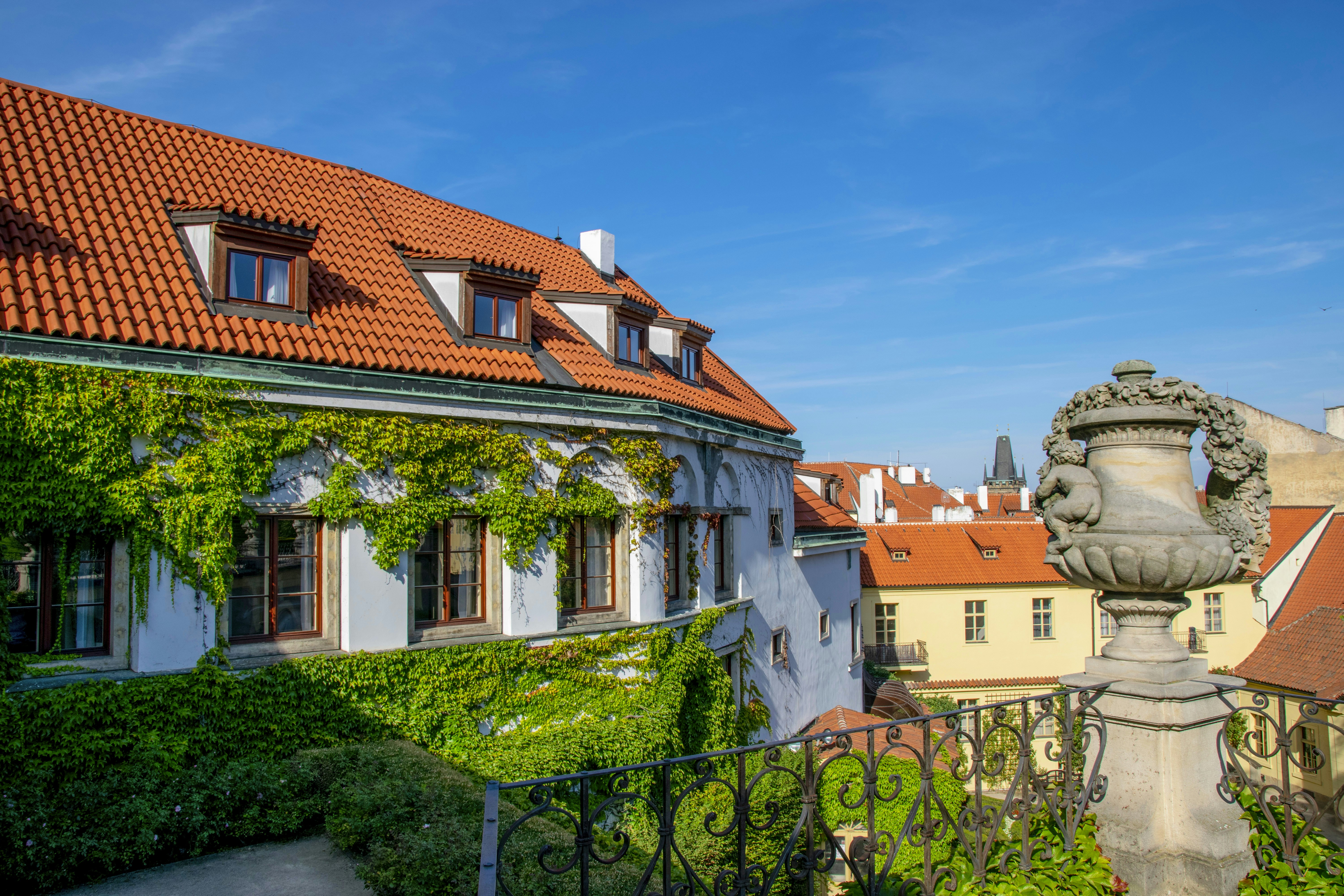 Charming building adorned with lush ivy, overlooking a picturesque cityscape under a clear blue sky.