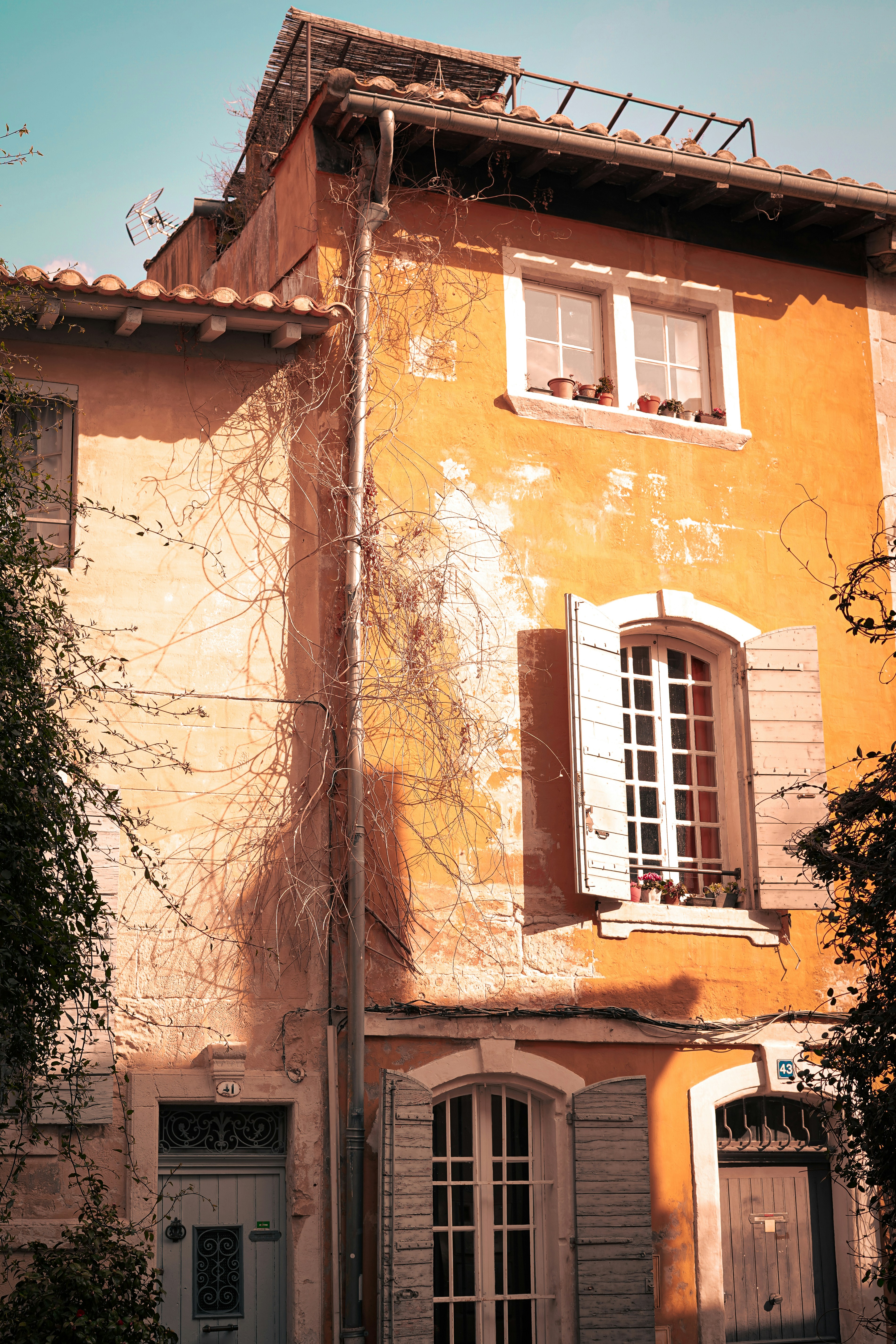 Photo by Baptiste Buisson with Sony Alpha 7 III