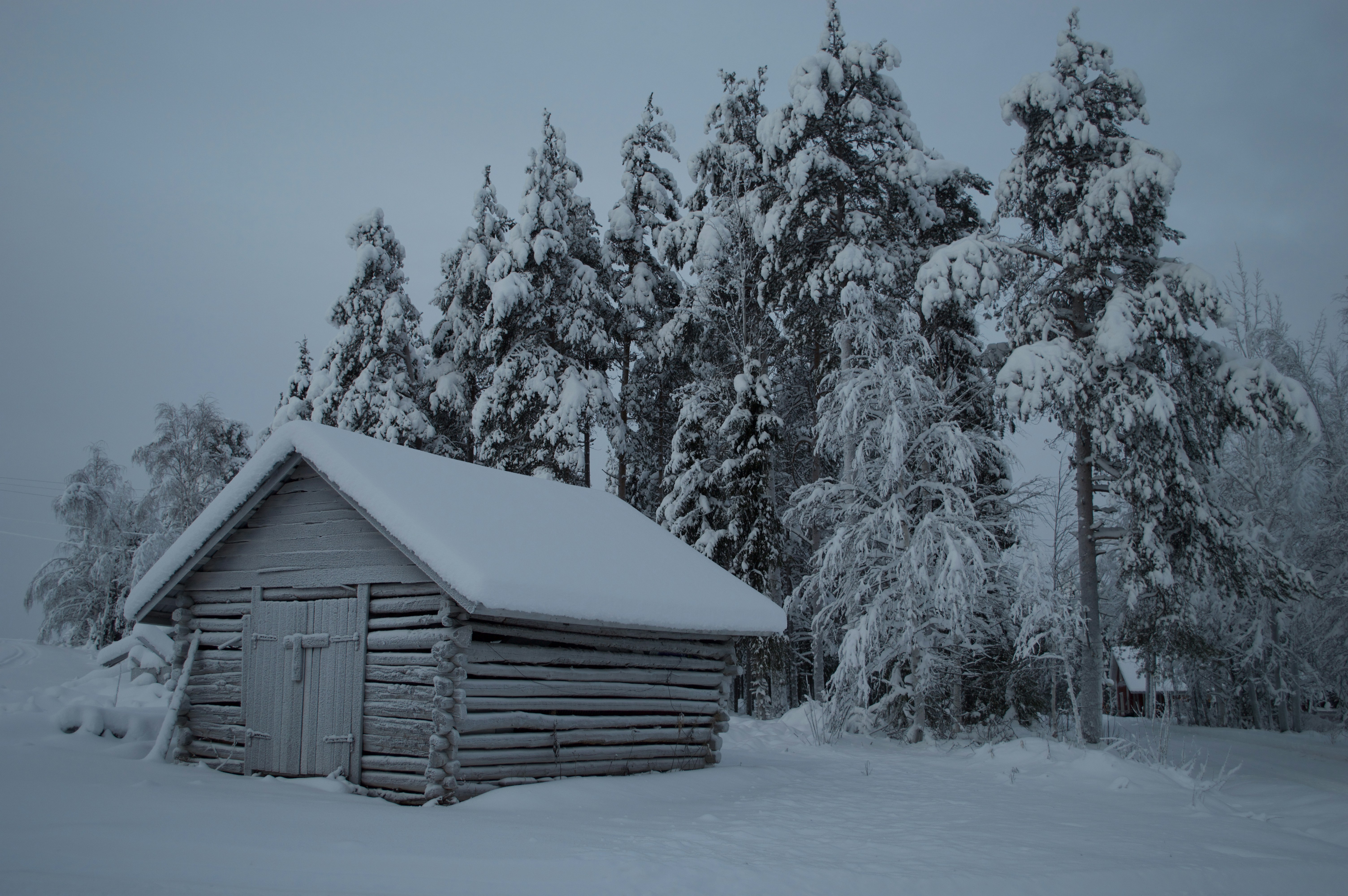키에린키 사진 | Unsplash에서 무료 이미지 다운로드