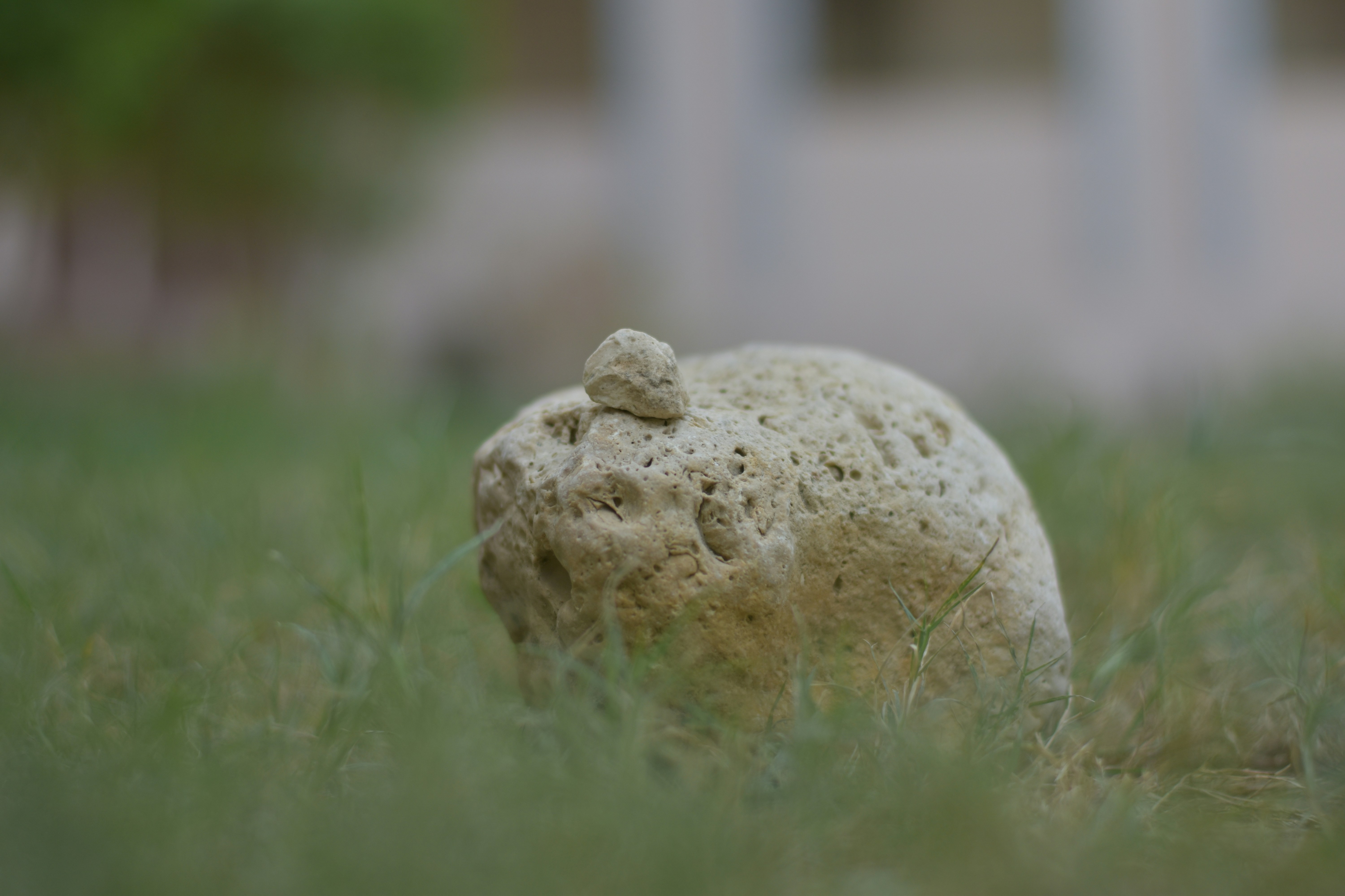 Stonewatcher in a Velvet Meadow