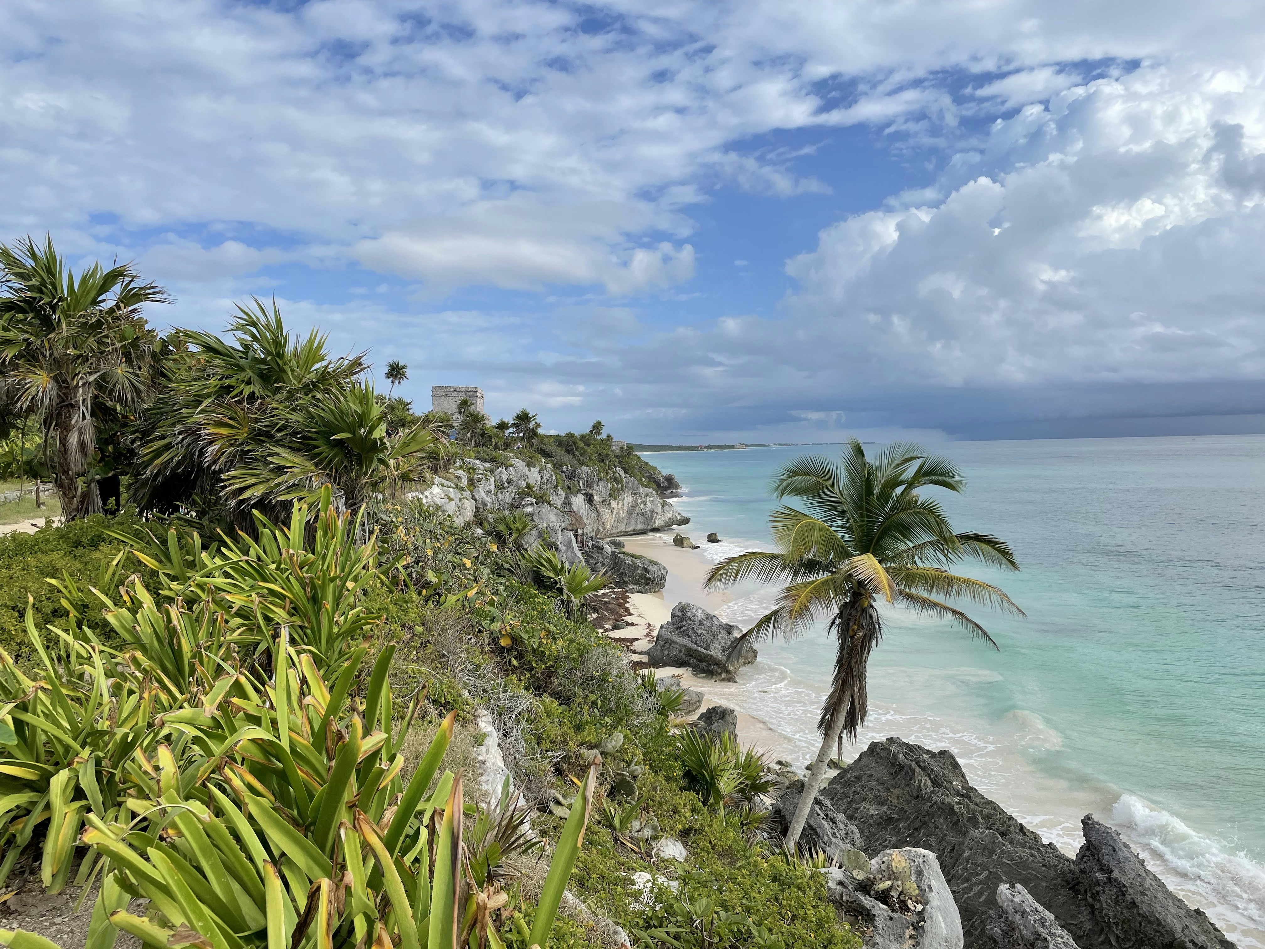 Palm-Swept Promontory Over Turquoise Caribbean: A Cliffside Seascape