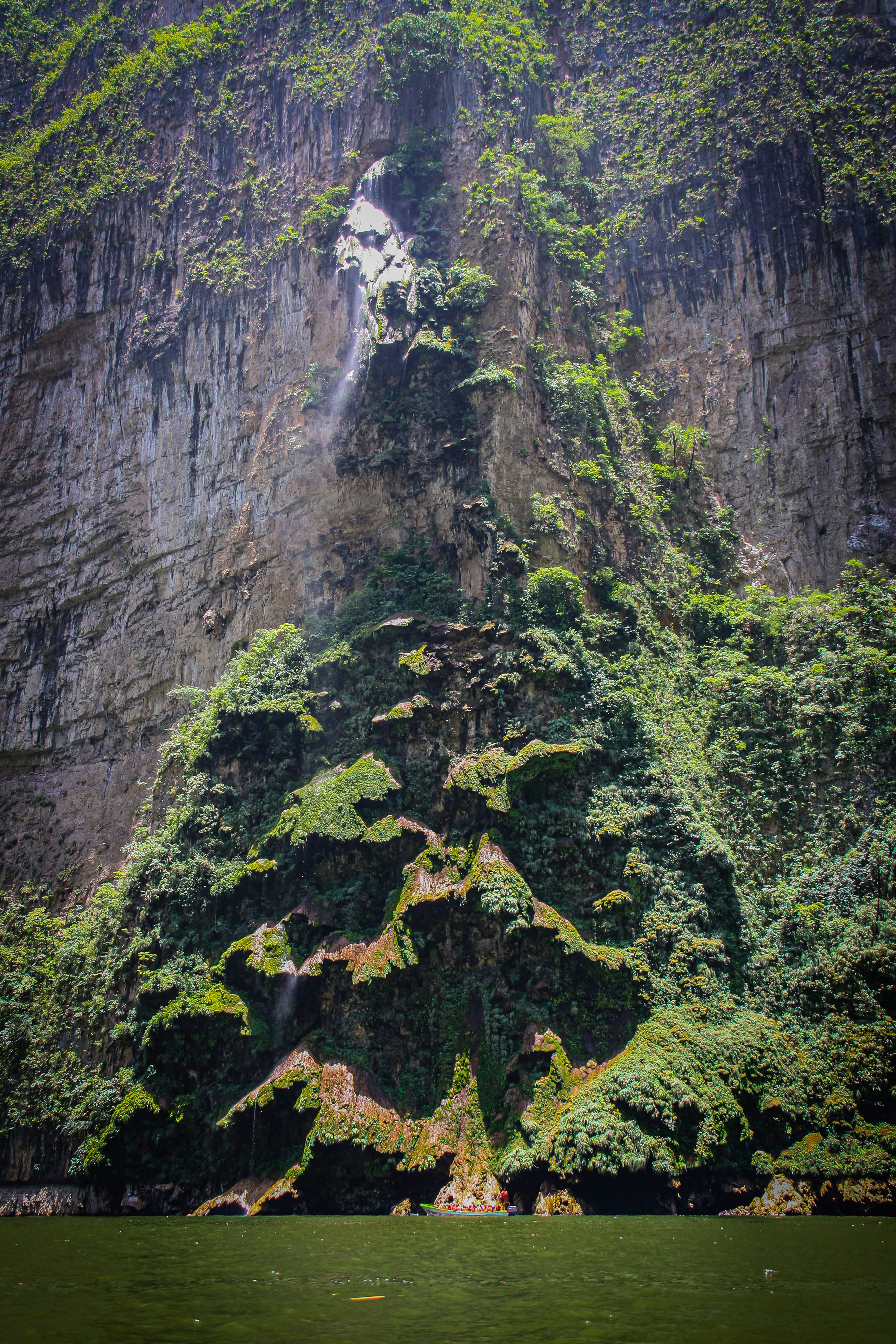 Foto zum Thema Ein Berg mit einem Baum, der an seiner Seite wächst ...