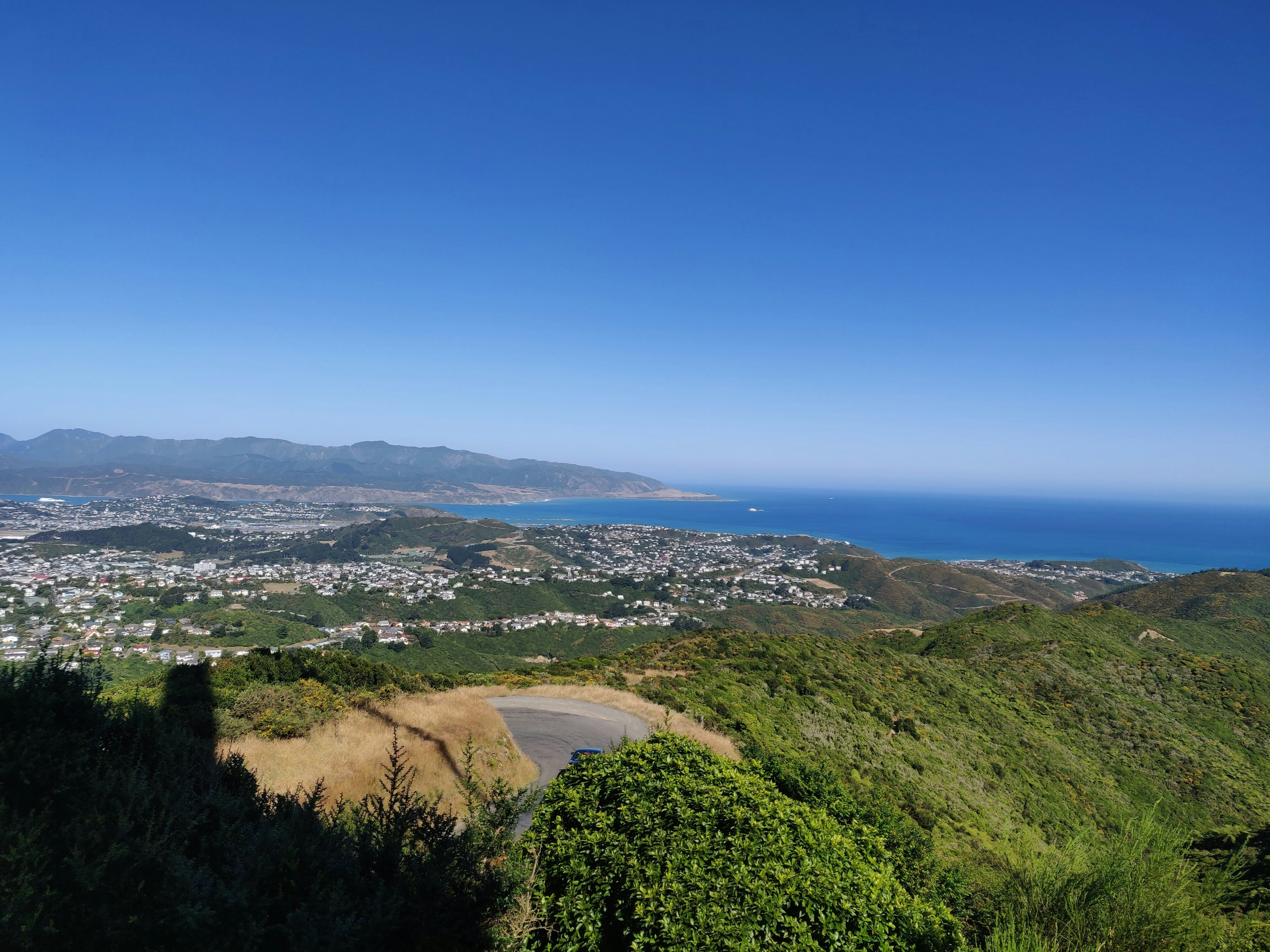 Expansive view of Wellington's lush hills and sparkling coastline under a clear blue sky.