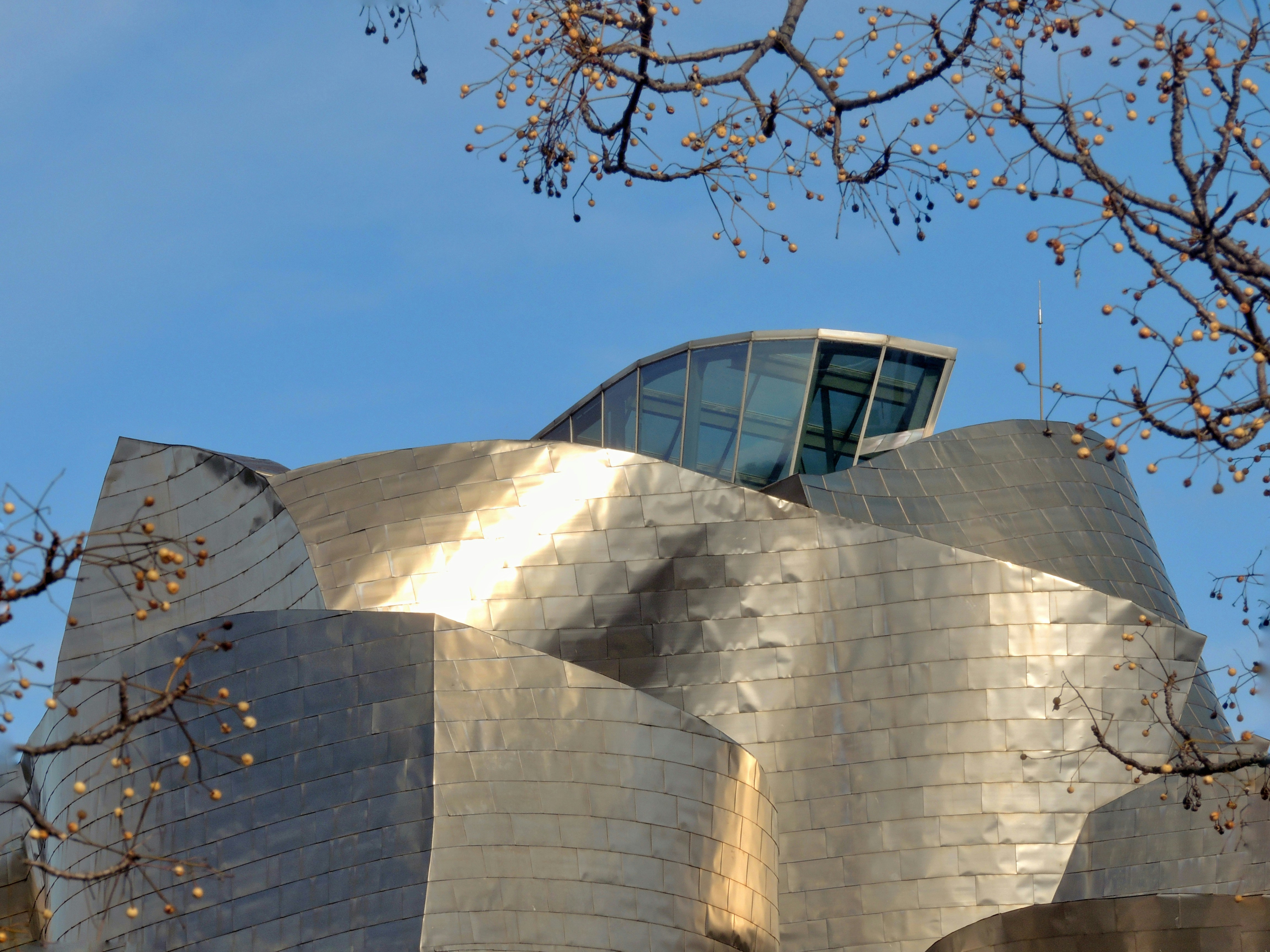 Guggenheim Museum Bilbao 🇪🇸