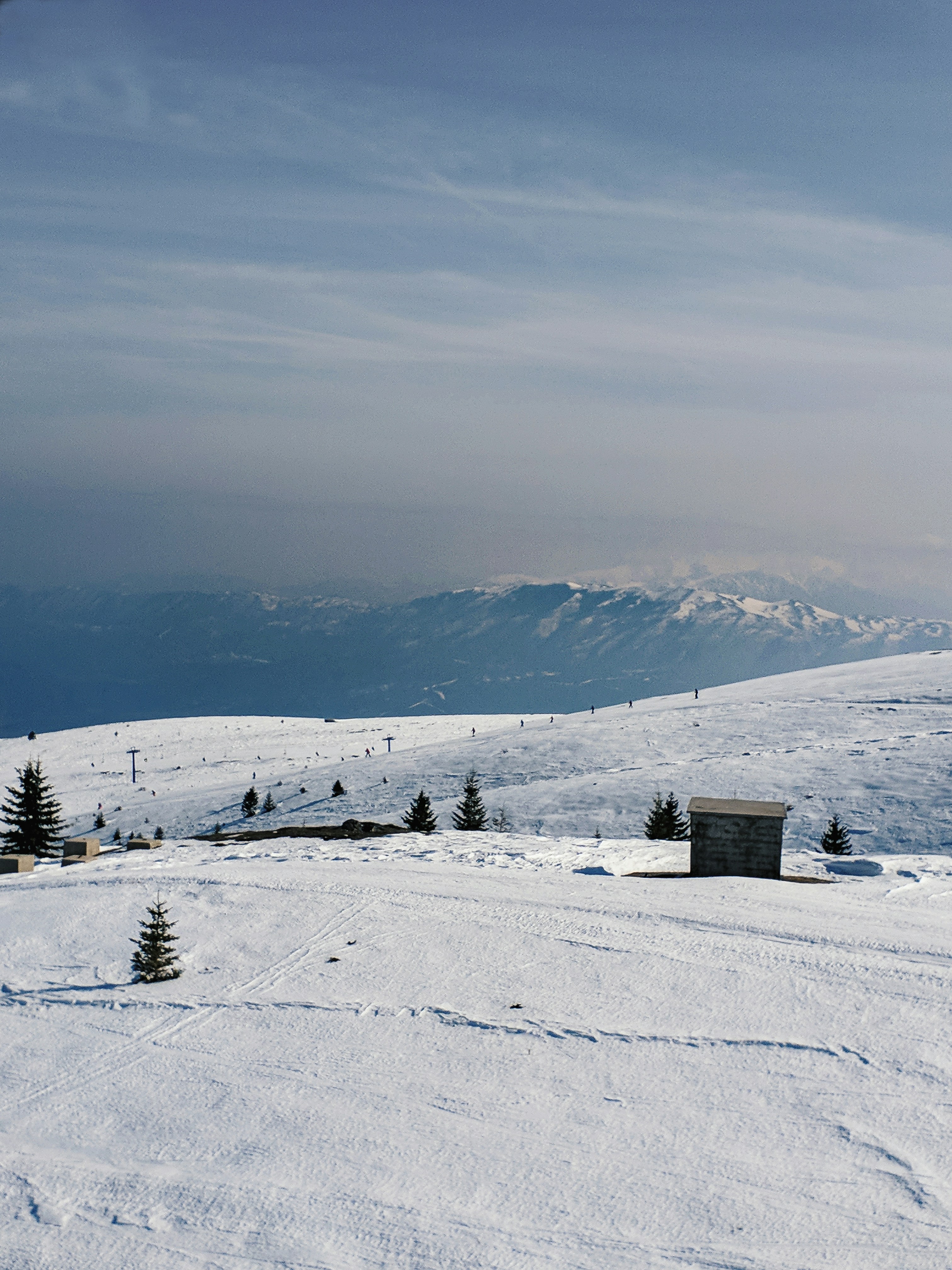 Snow-covered landscape with distant mountains and scattered evergreen trees under a soft blue sky.