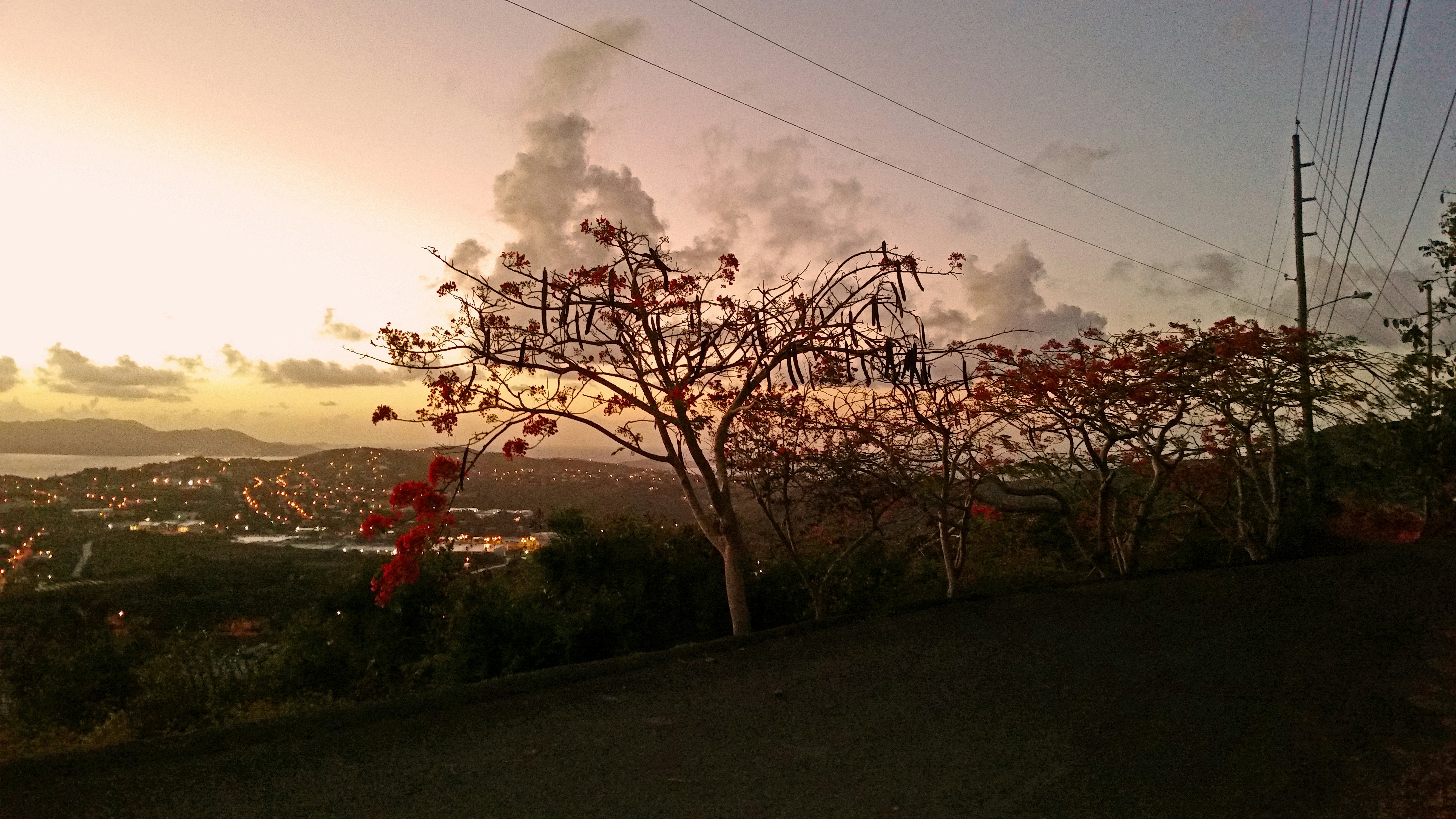 Crimson Orchard at Dusk: A Quiet Ridge Leading Toward a Distant City