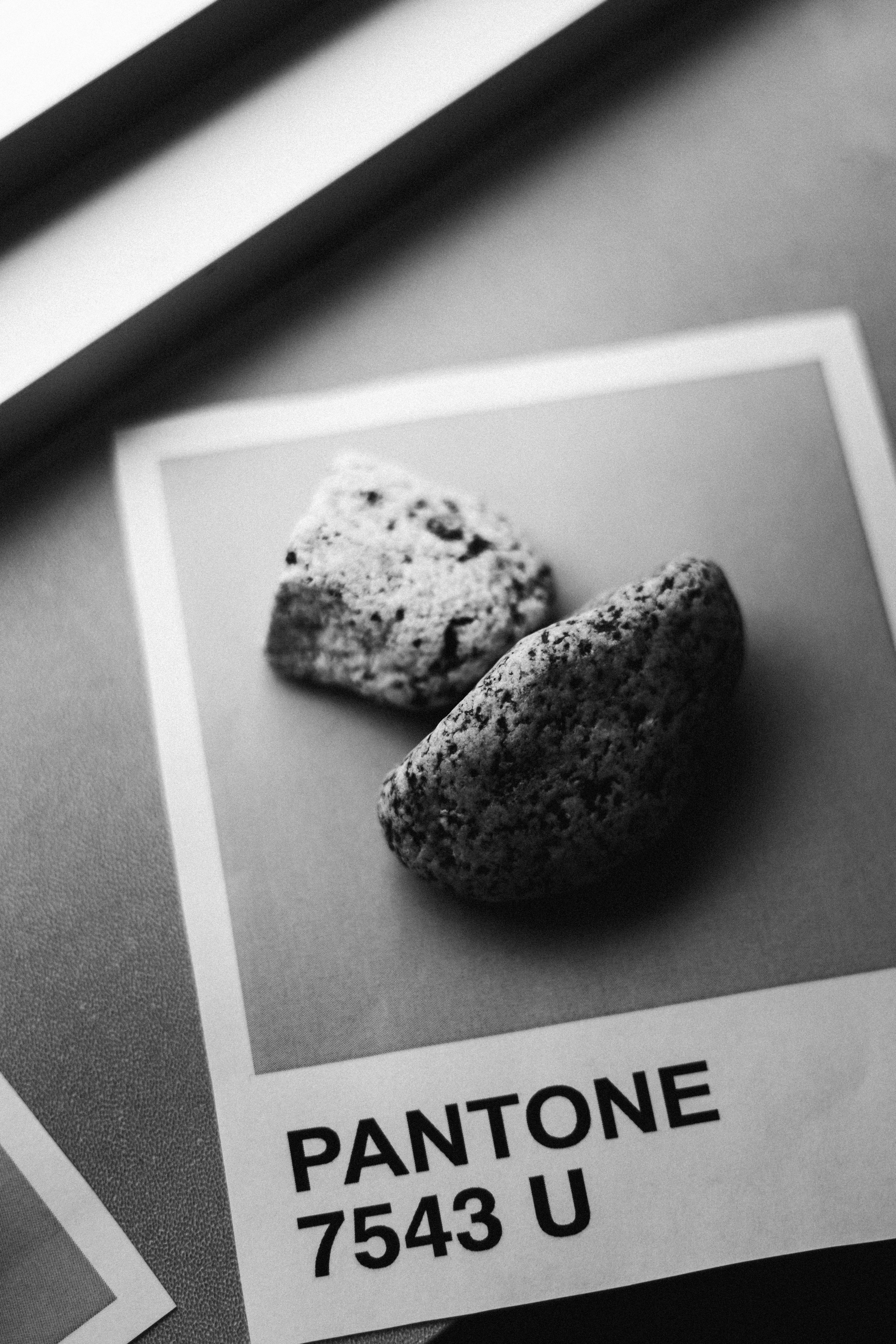 a picture of two cookies sitting on top of a table