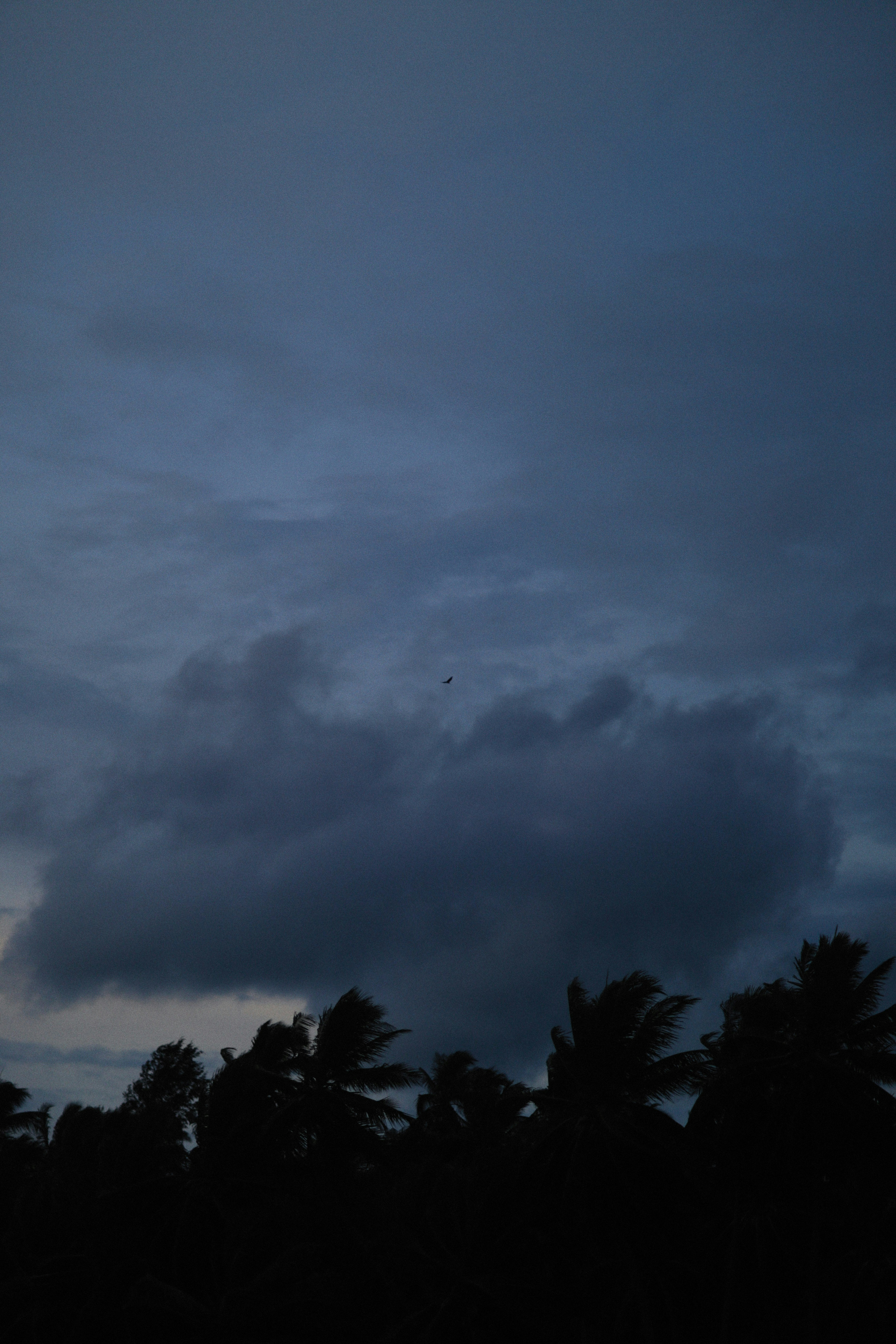 a plane flying in the sky at dusk