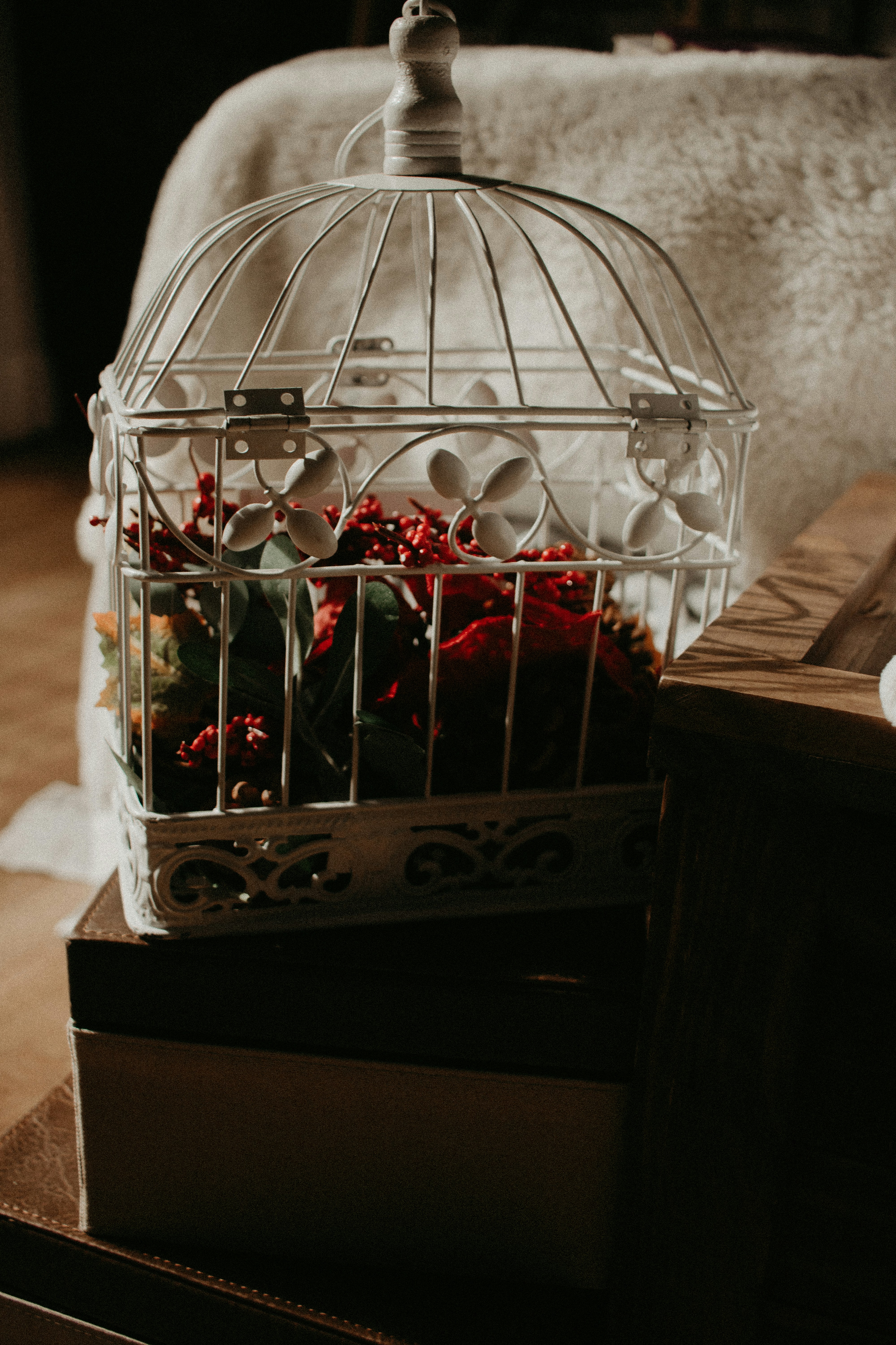 Decorative birdcage filled with vibrant red flowers on a stack of books.