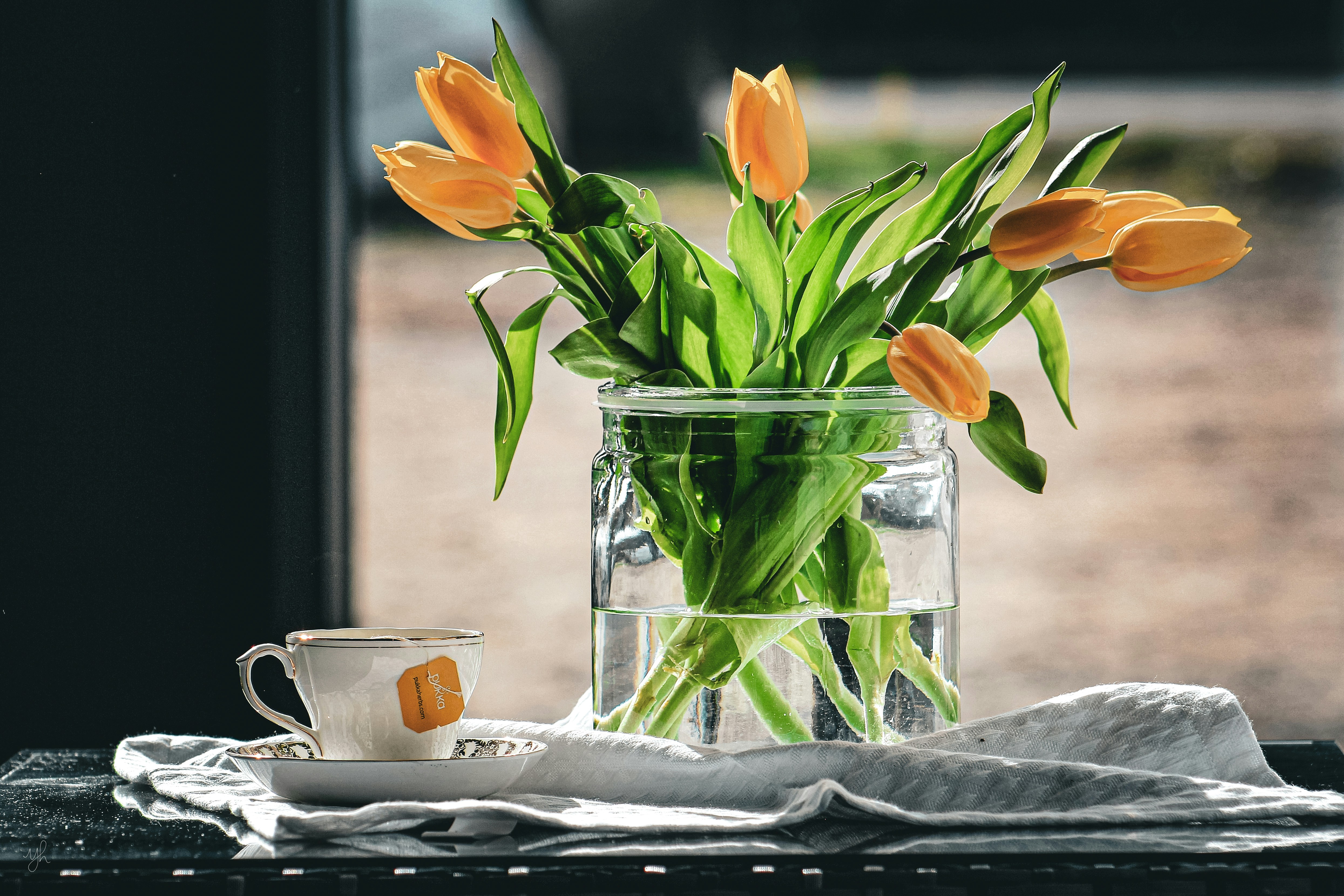 Amber Tulips in a Glass Jar: Quiet Morning Light on a Windowsill Still Life