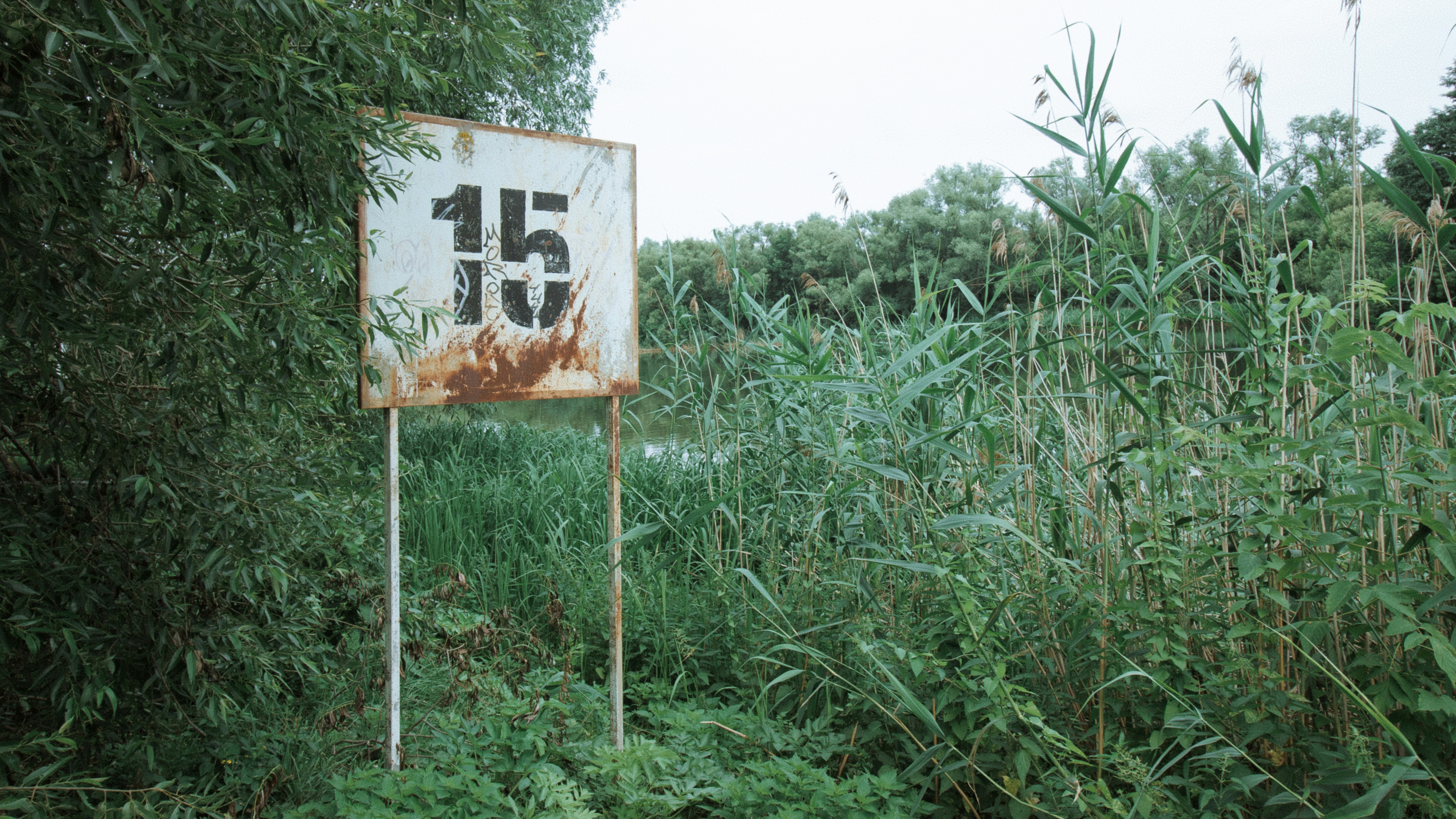 Rust-Streaked 15 Sign Framed by Overgrown Verge