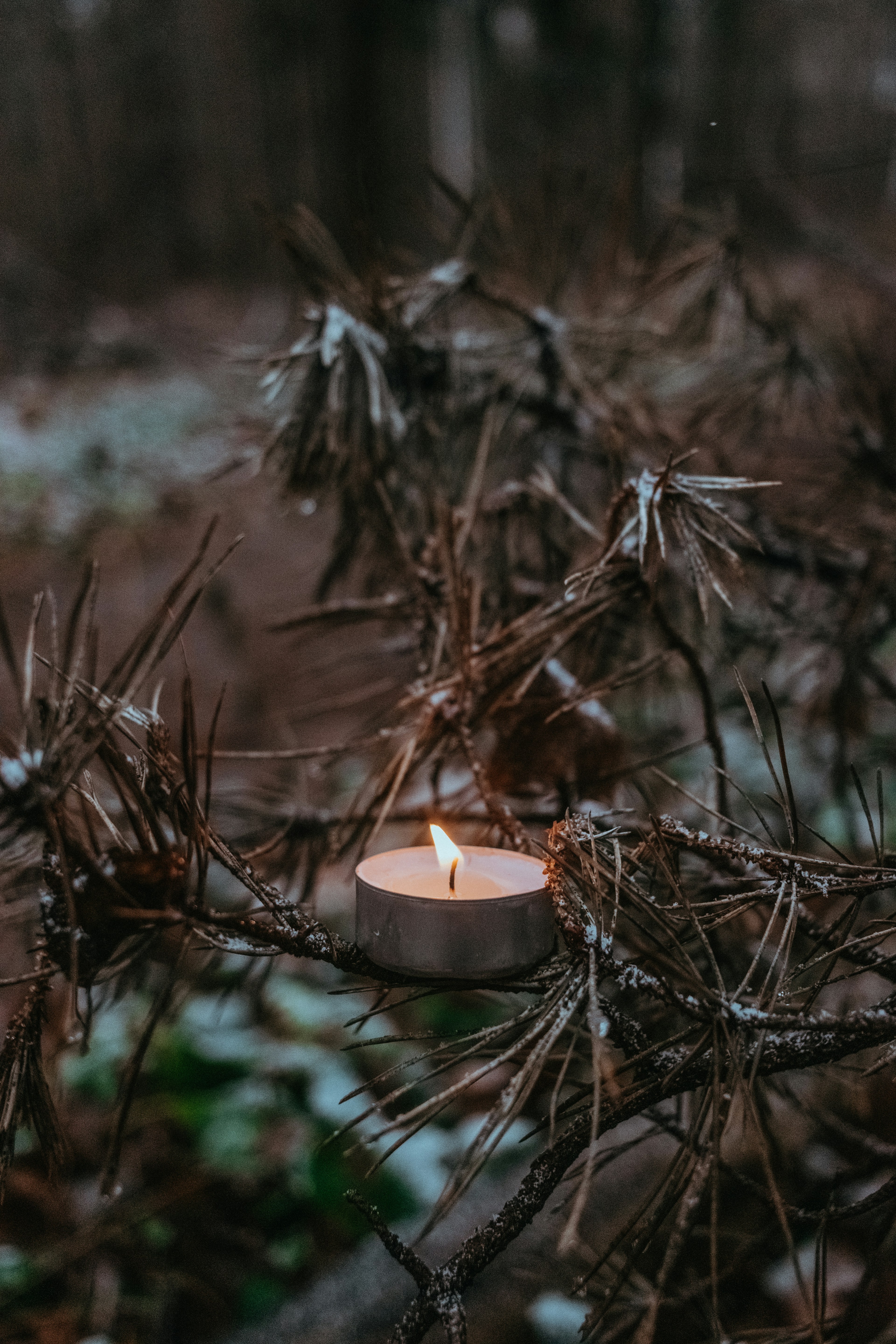 Candlelight Beacon in a Frosted Woodland