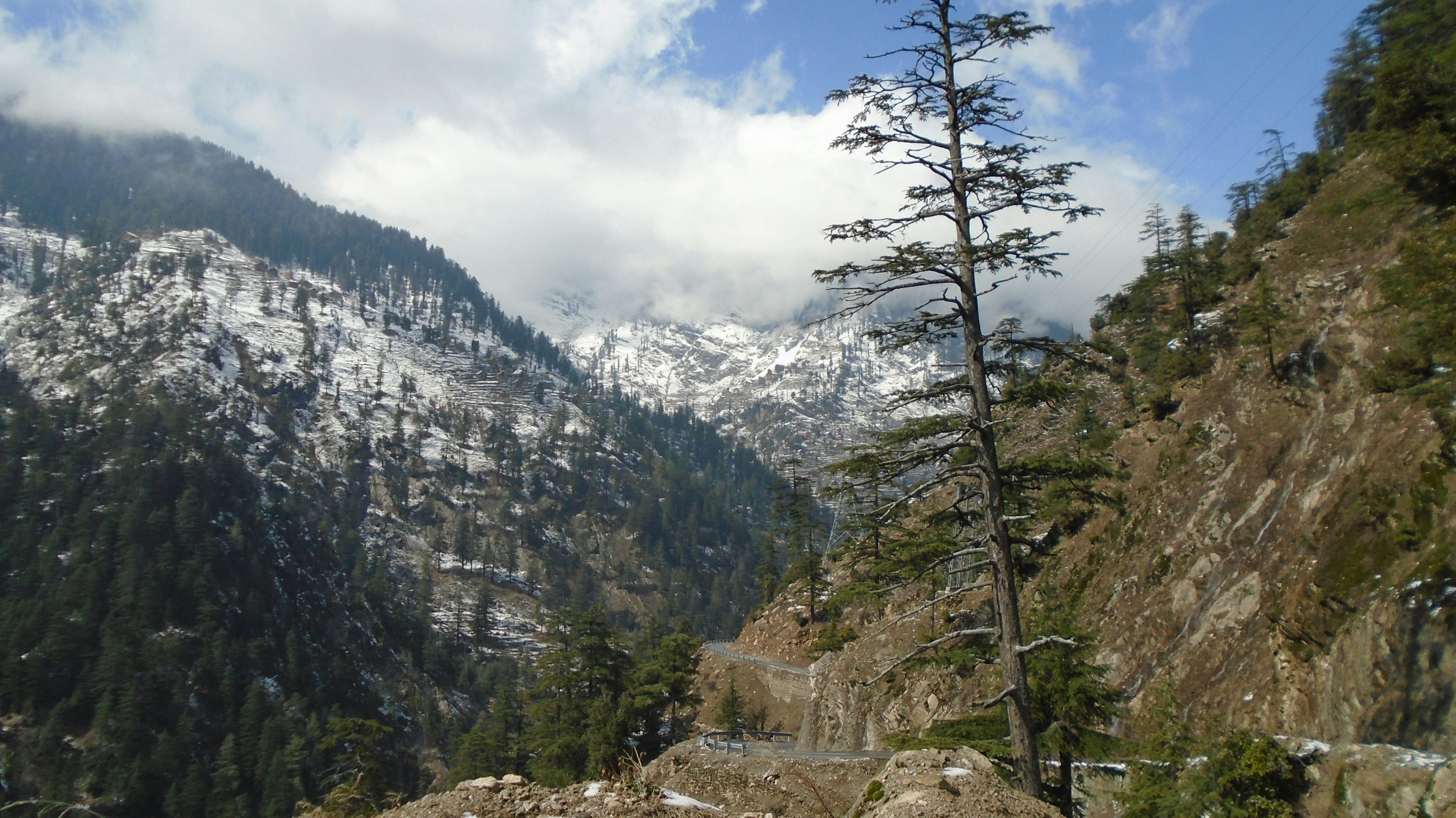 Snow-capped mountains rise majestically behind a rugged landscape, with a solitary tree standing tall against the backdrop of a cloudy sky.