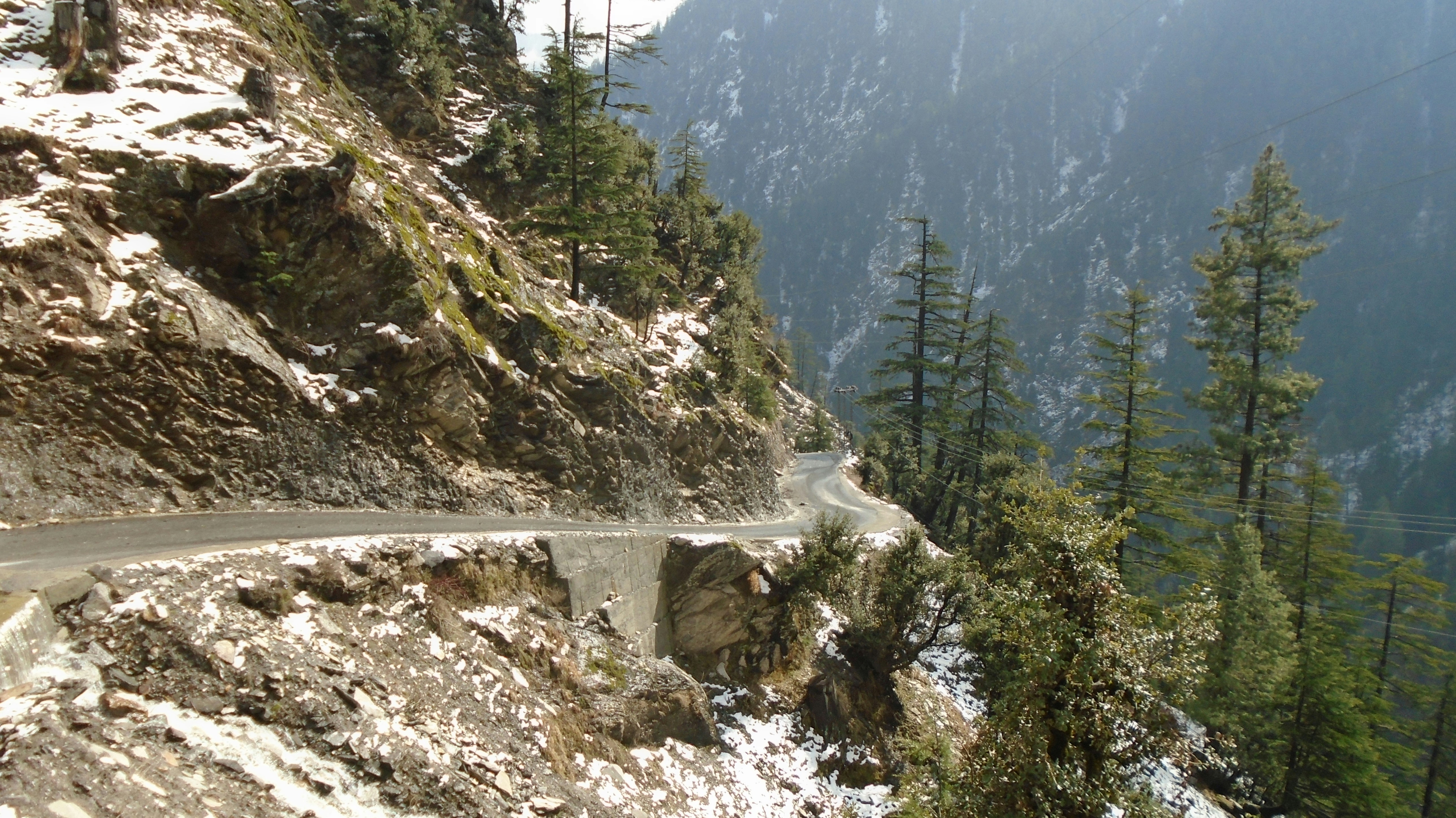 Winding mountain road clings to a rocky cliff, flanked by pine trees with distant mountains in view.
