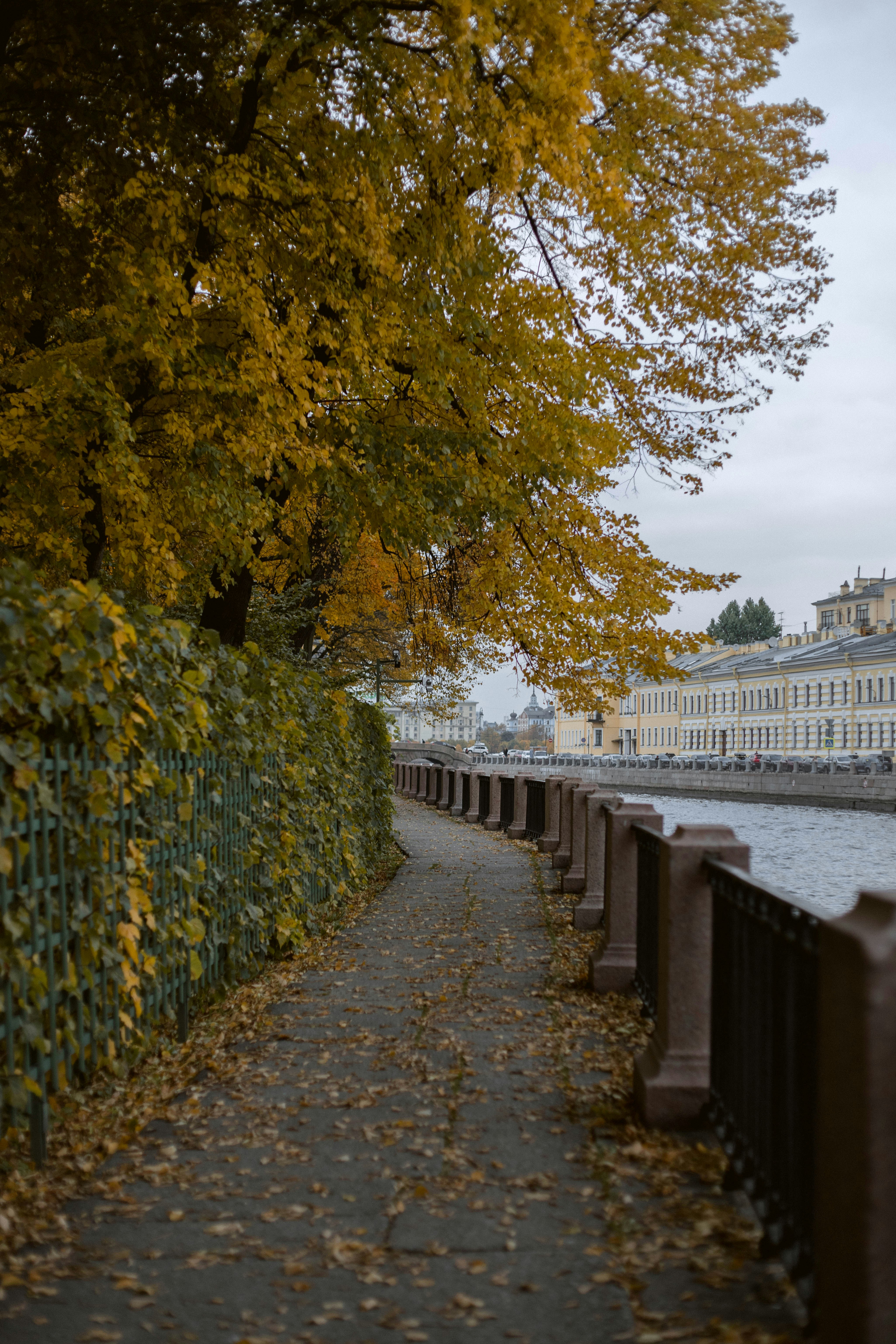 Autumn Riverside Promenade: Golden Leaves Along the Riverwalk