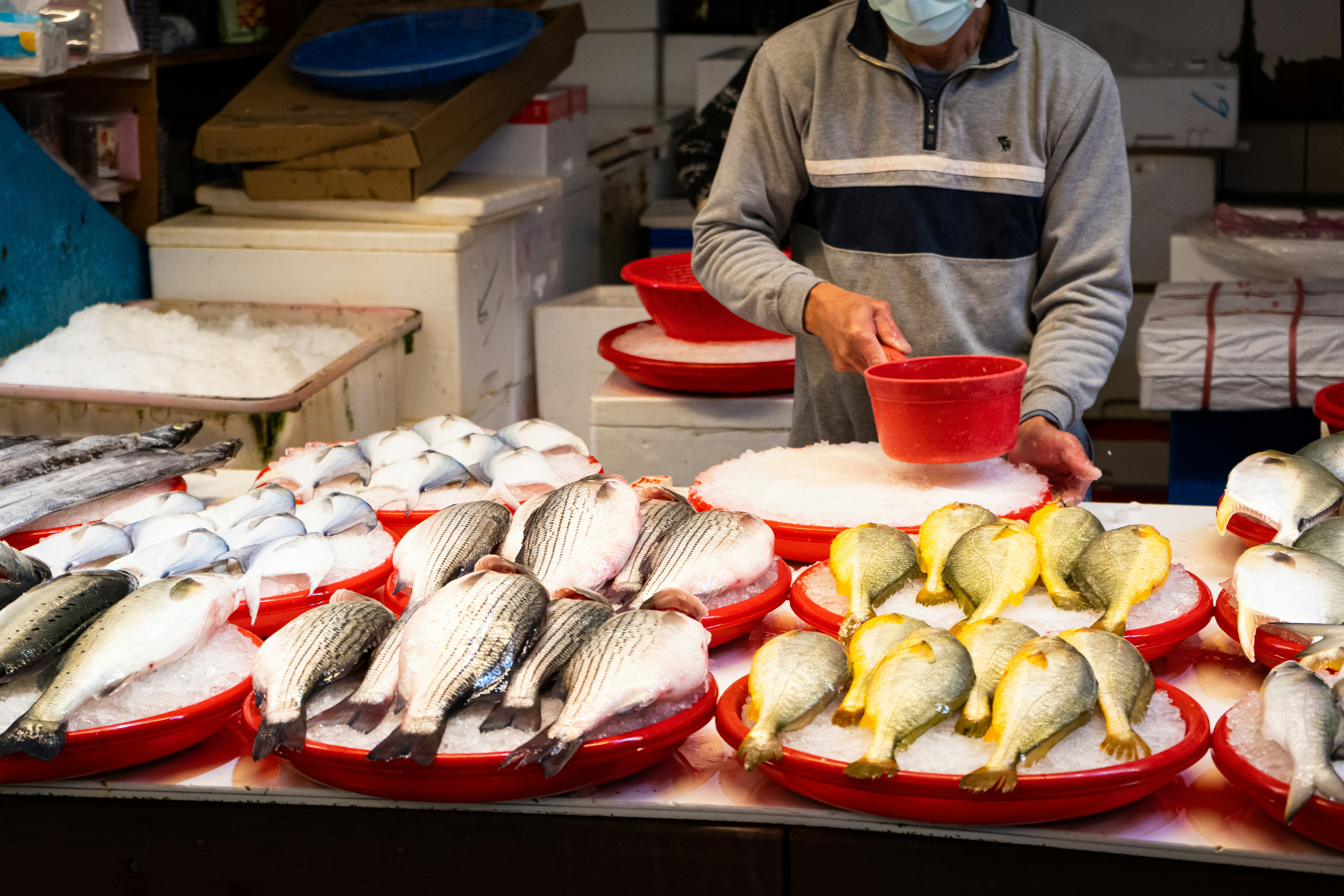 Crimson Trays and Quiet Trade: Fresh Catch at a Busy Market