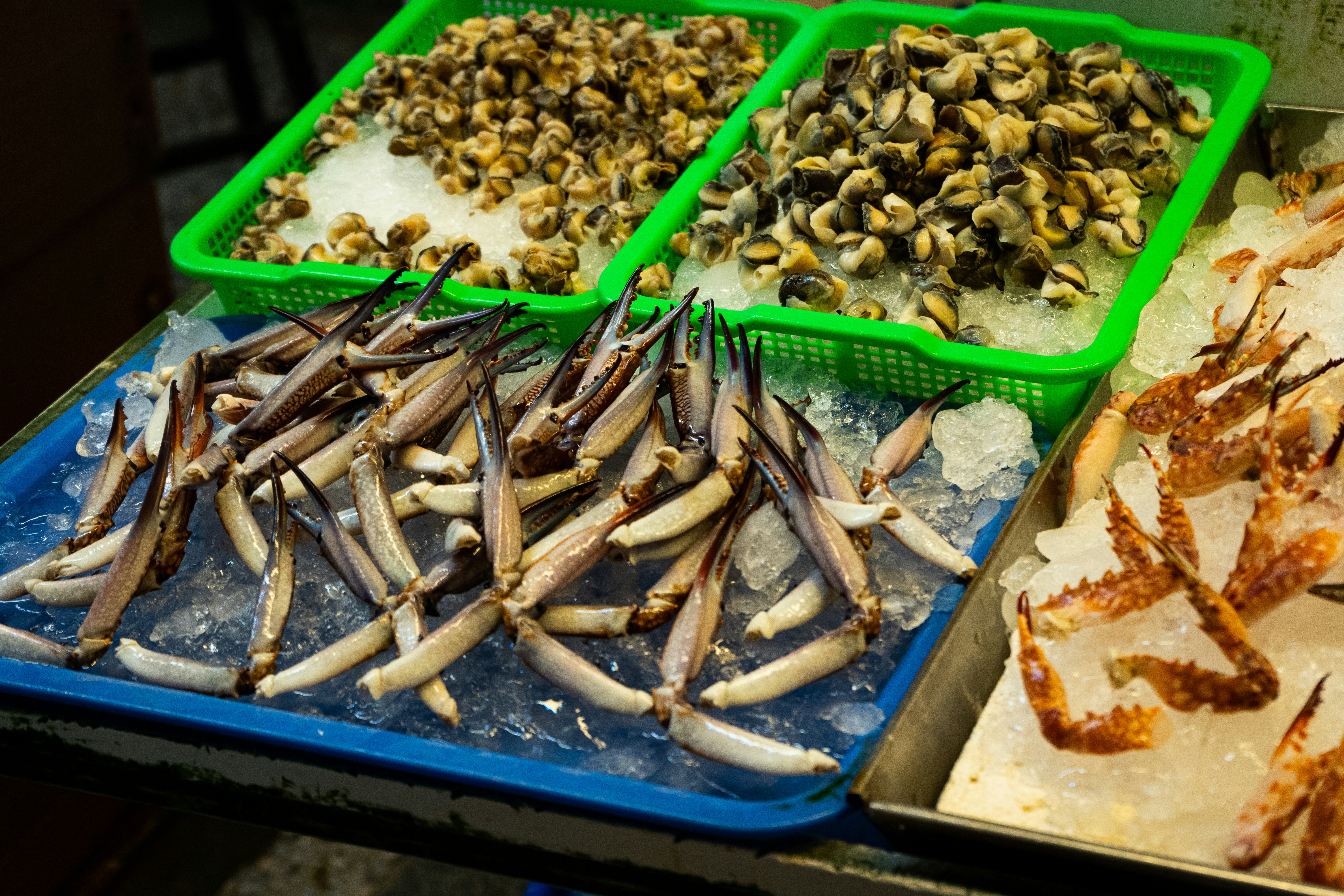 Ice Front Market: Sardines, Clams, and Shrimp on Ice