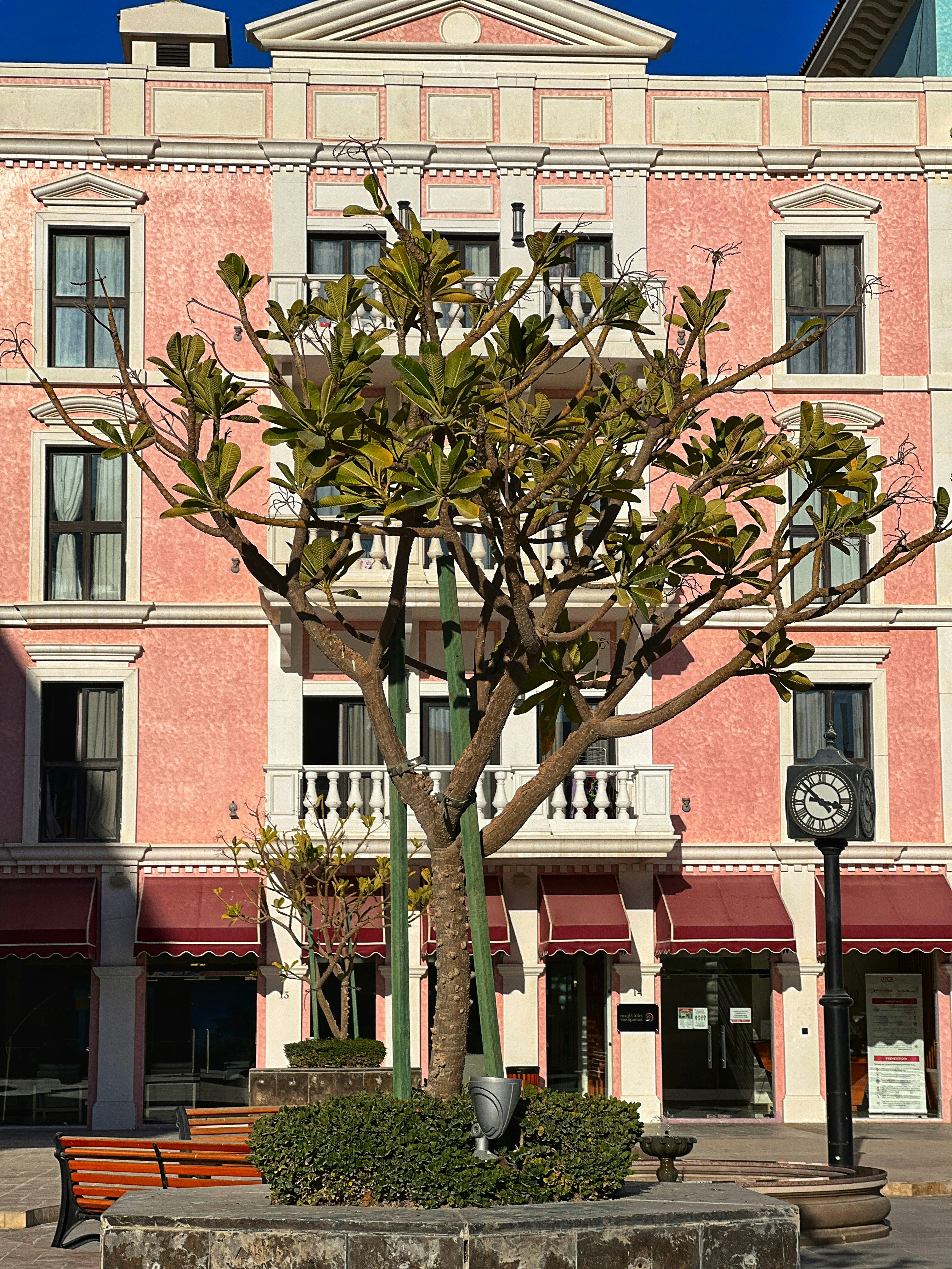 A tree in a planter in front of a pink building photo – Free High rise ...