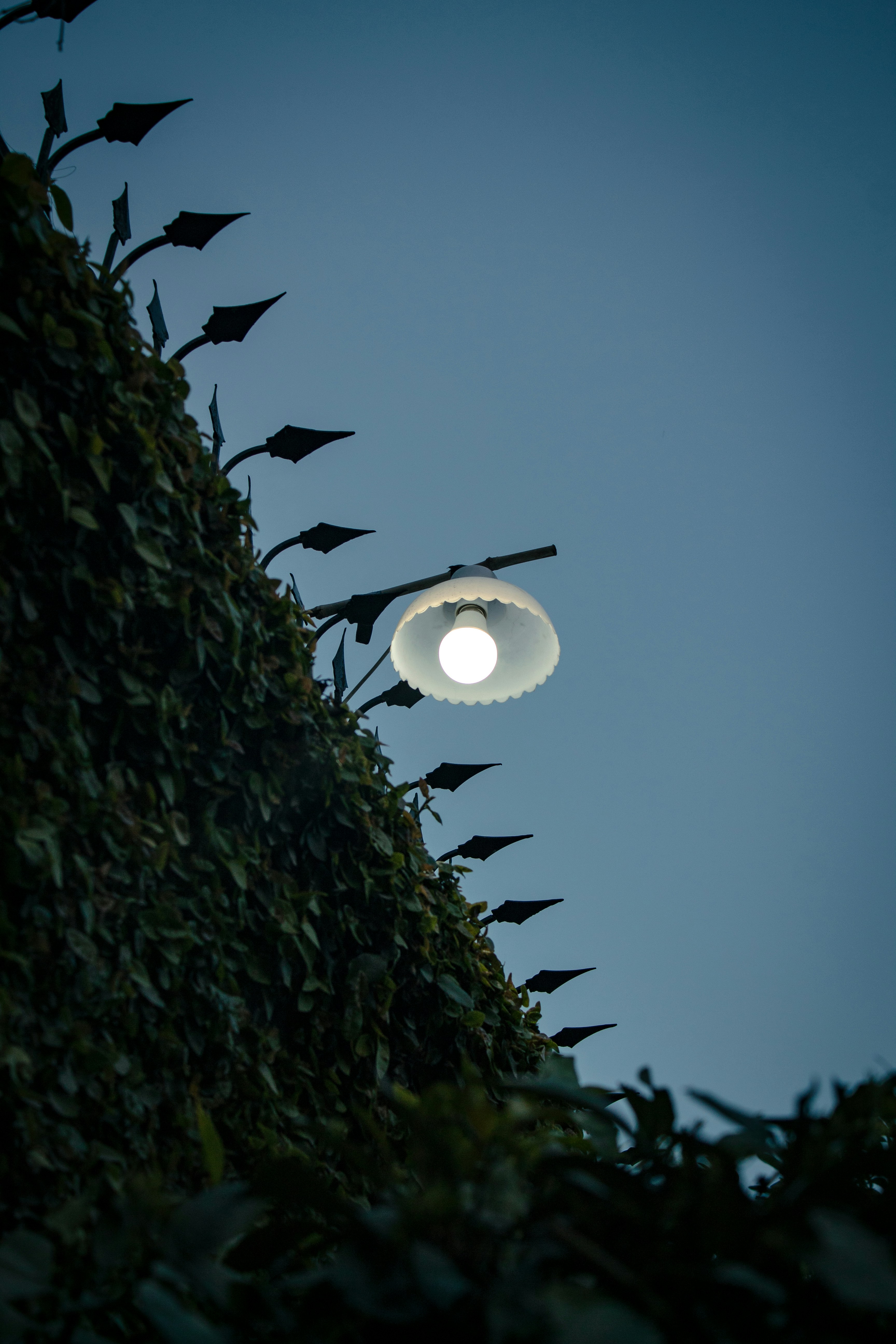 A Bulb is on in the dark evening sky.