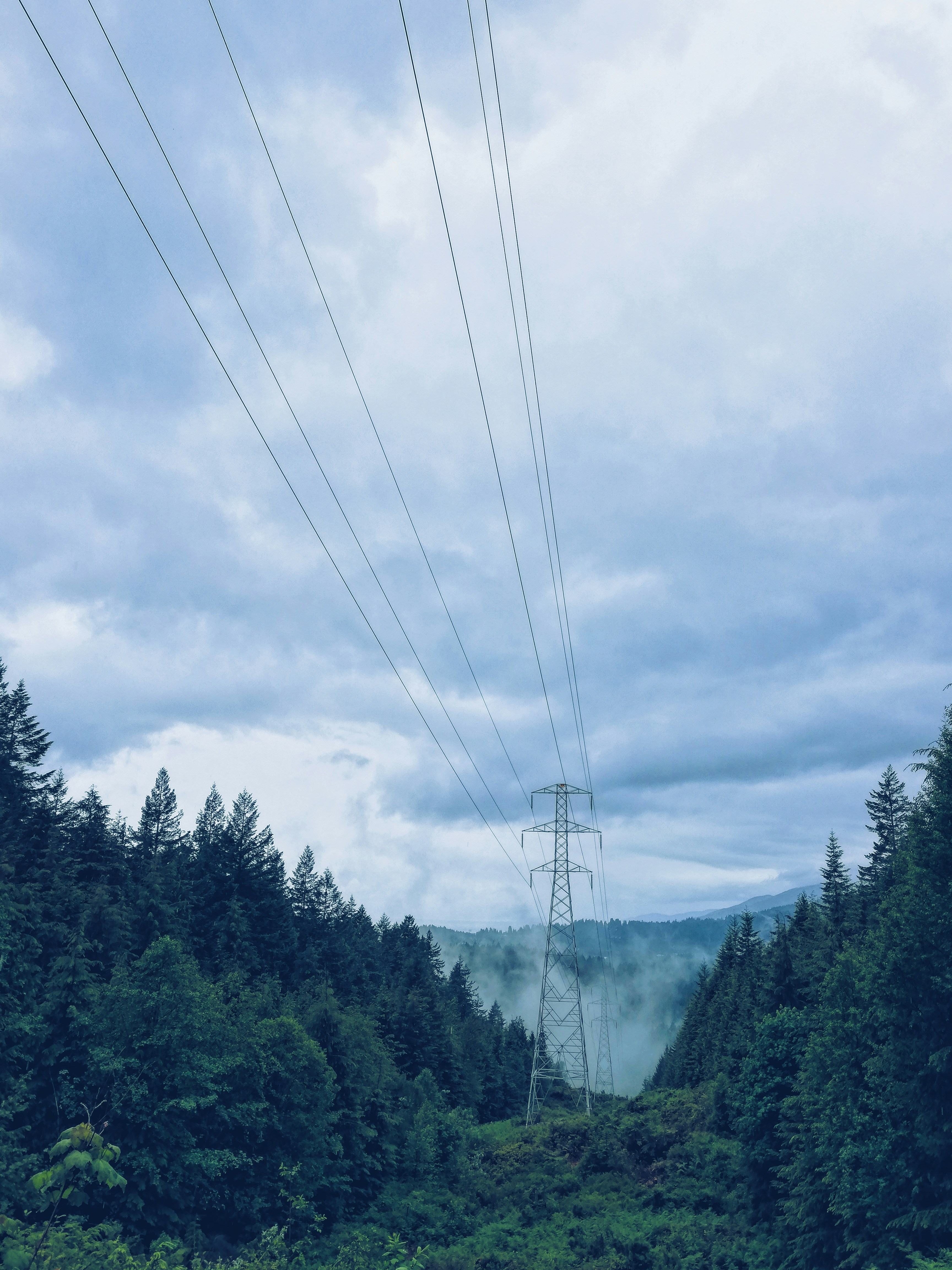 Forest valley with a central power pylon and parallel lines slicing through morning mist.