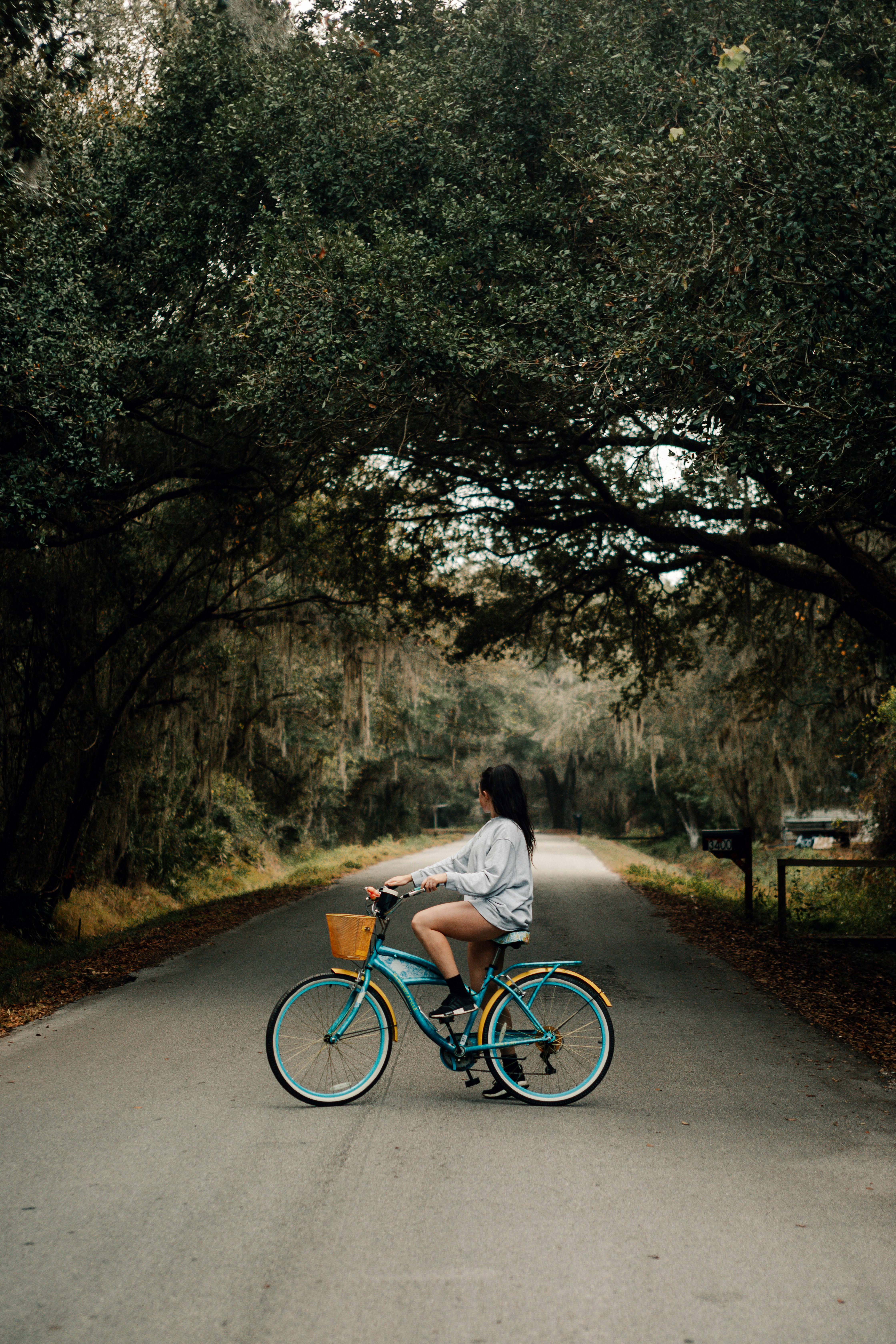 A woman riding a bike down a tree lined road photo – Free Bicycle Image ...