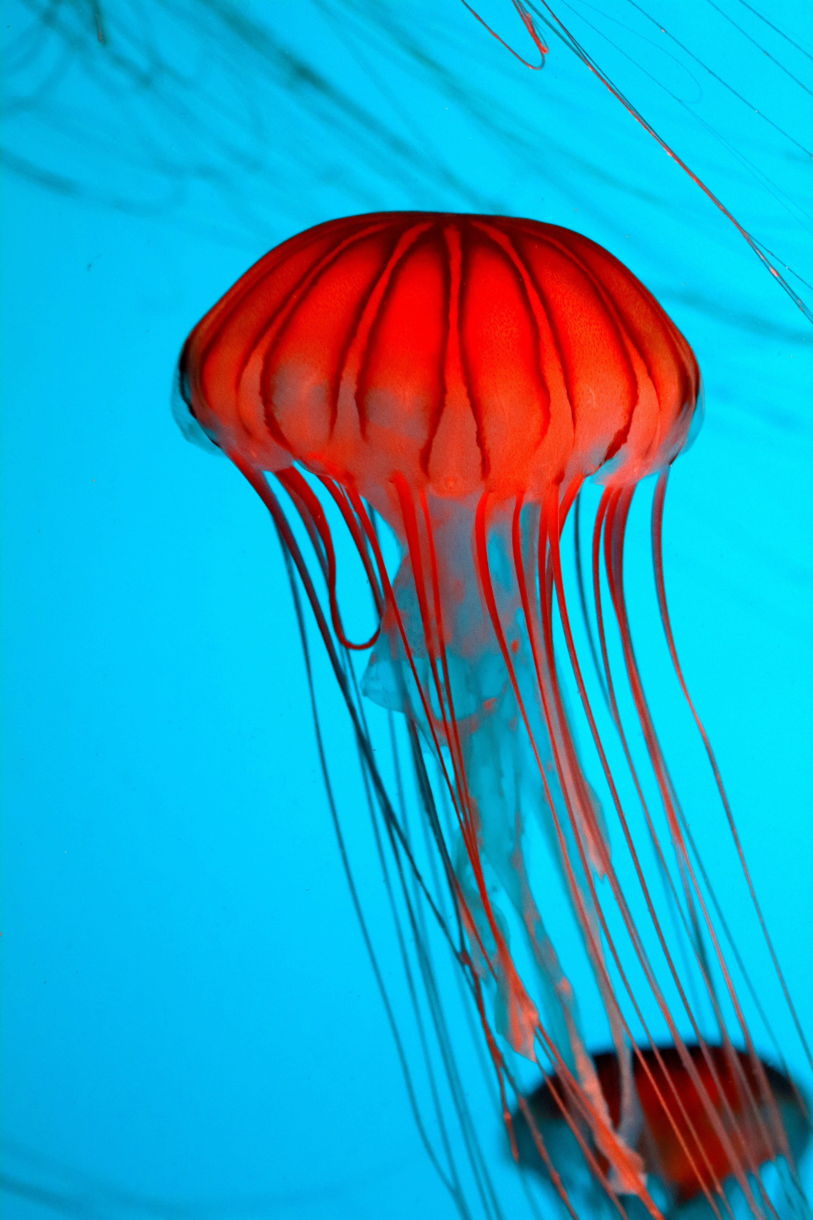 Joseph C (@rkby) | Unsplash Photo Community