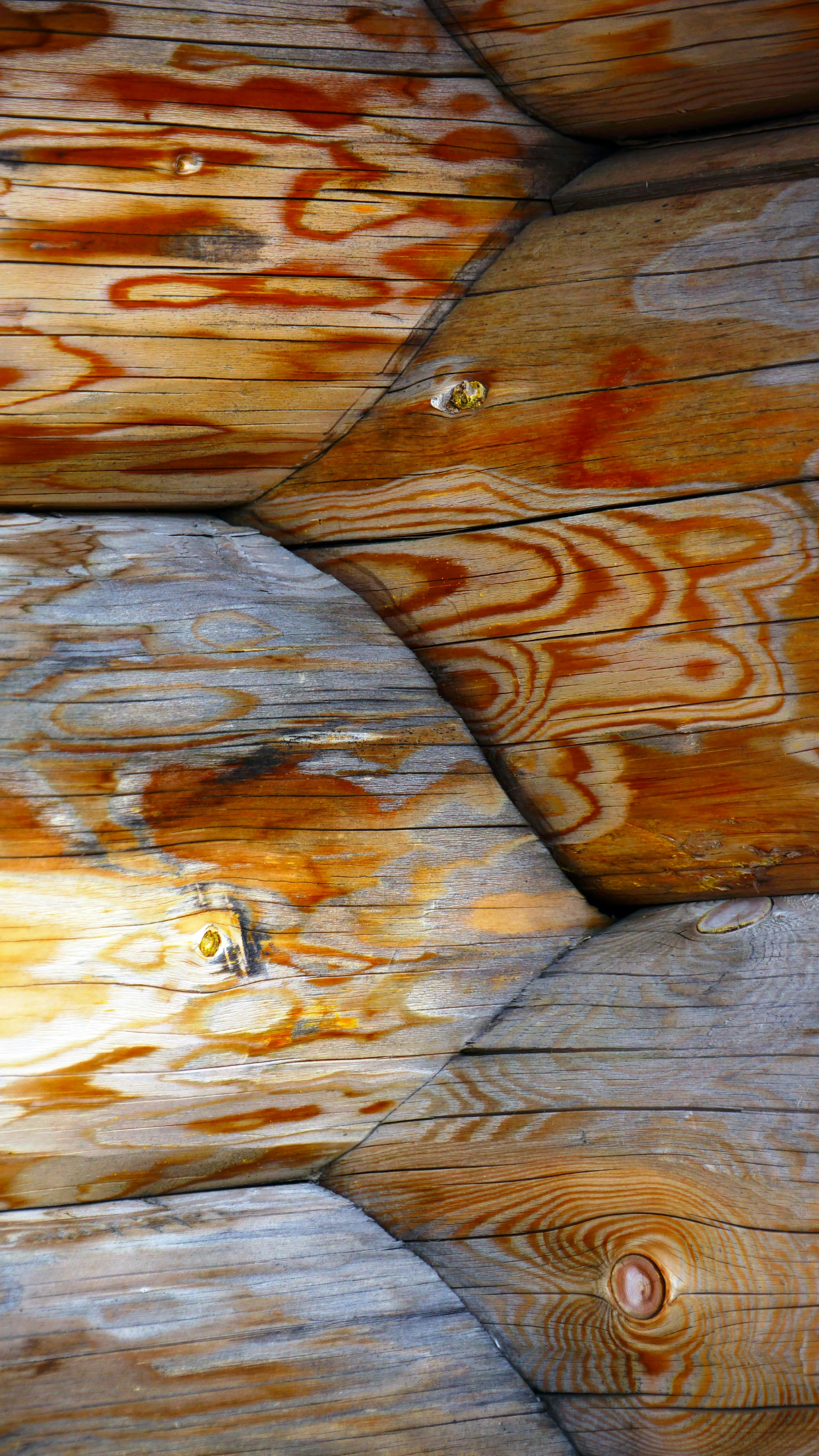 Weathered Geometry: Close-Up on Log-Joint Facets