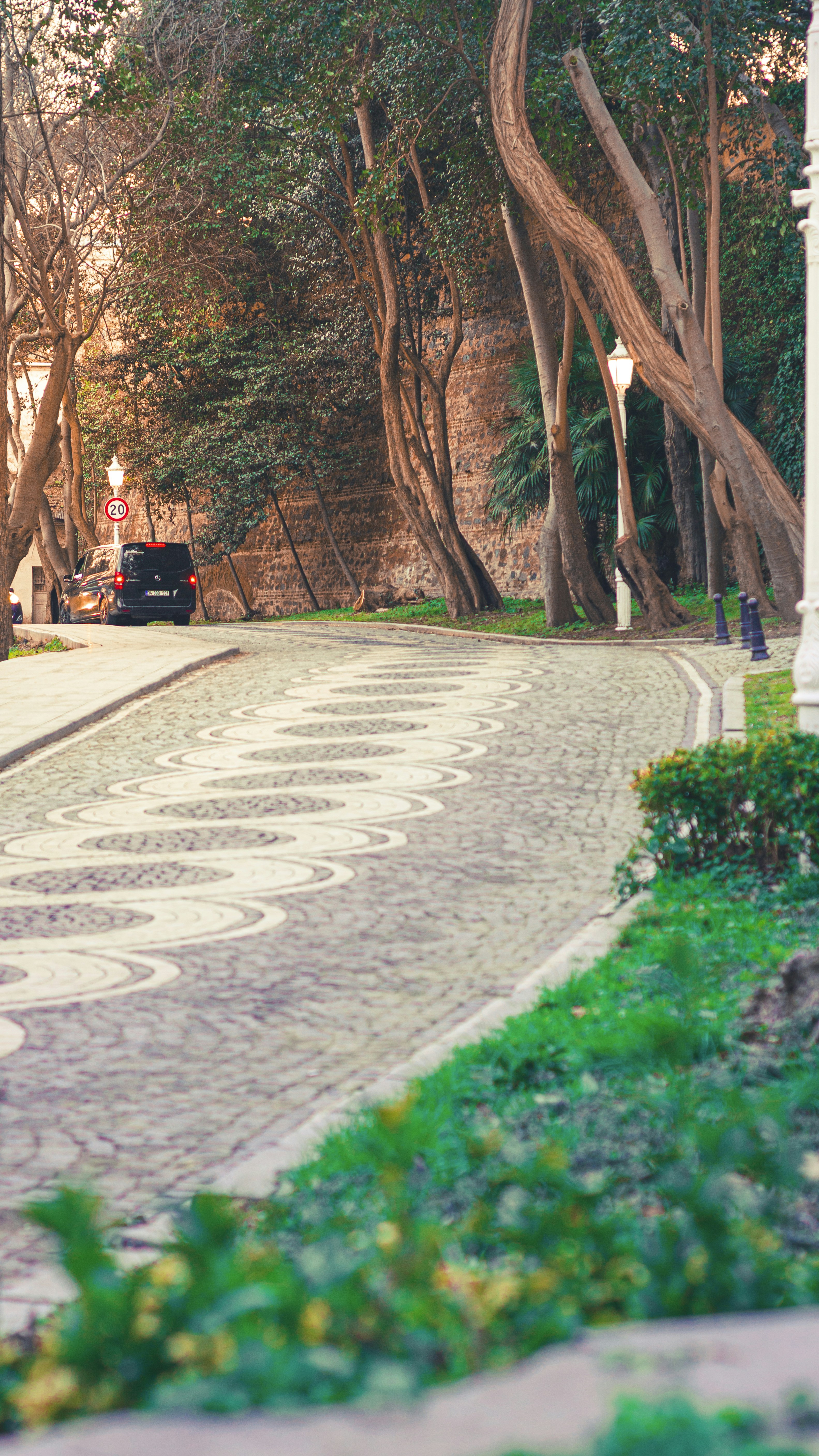 A street lined with trees next to a sidewalk photo – Free Istambul ...