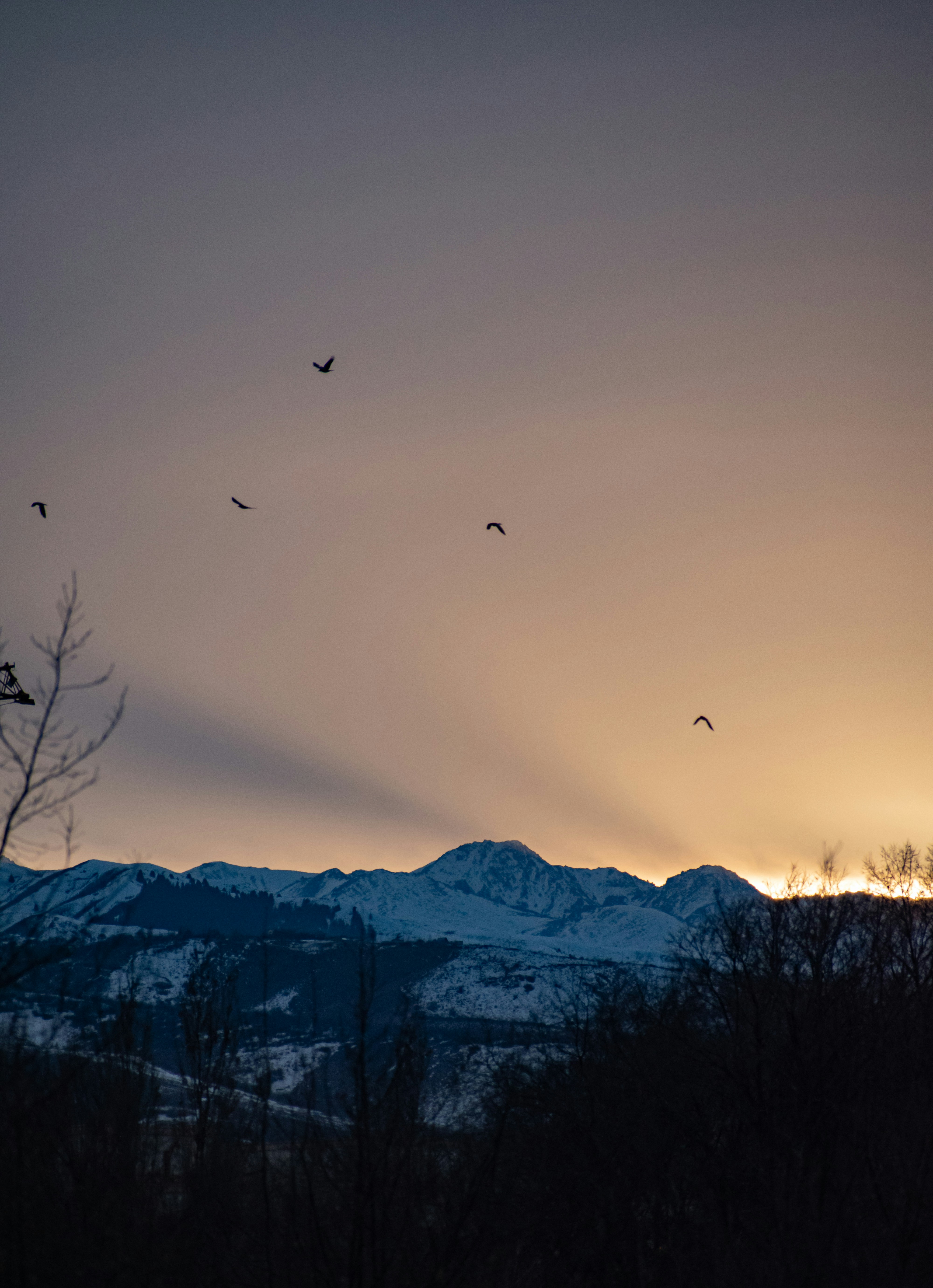 Ridge of Light: Sunset over Snowbound Peaks with Migrating Wings