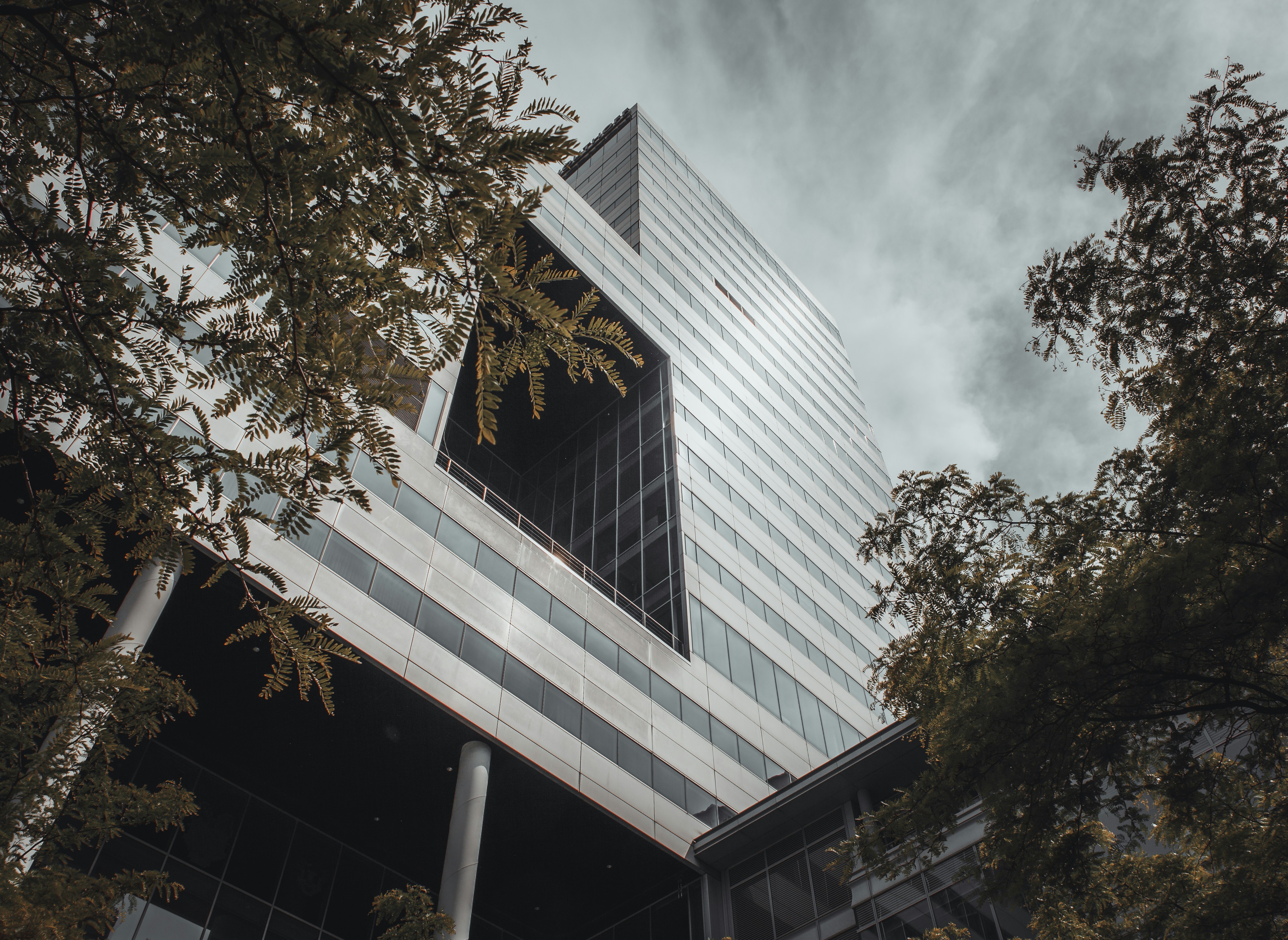 Glass Prism Above the Canopy: A Low-Angle Portrait of a Tower