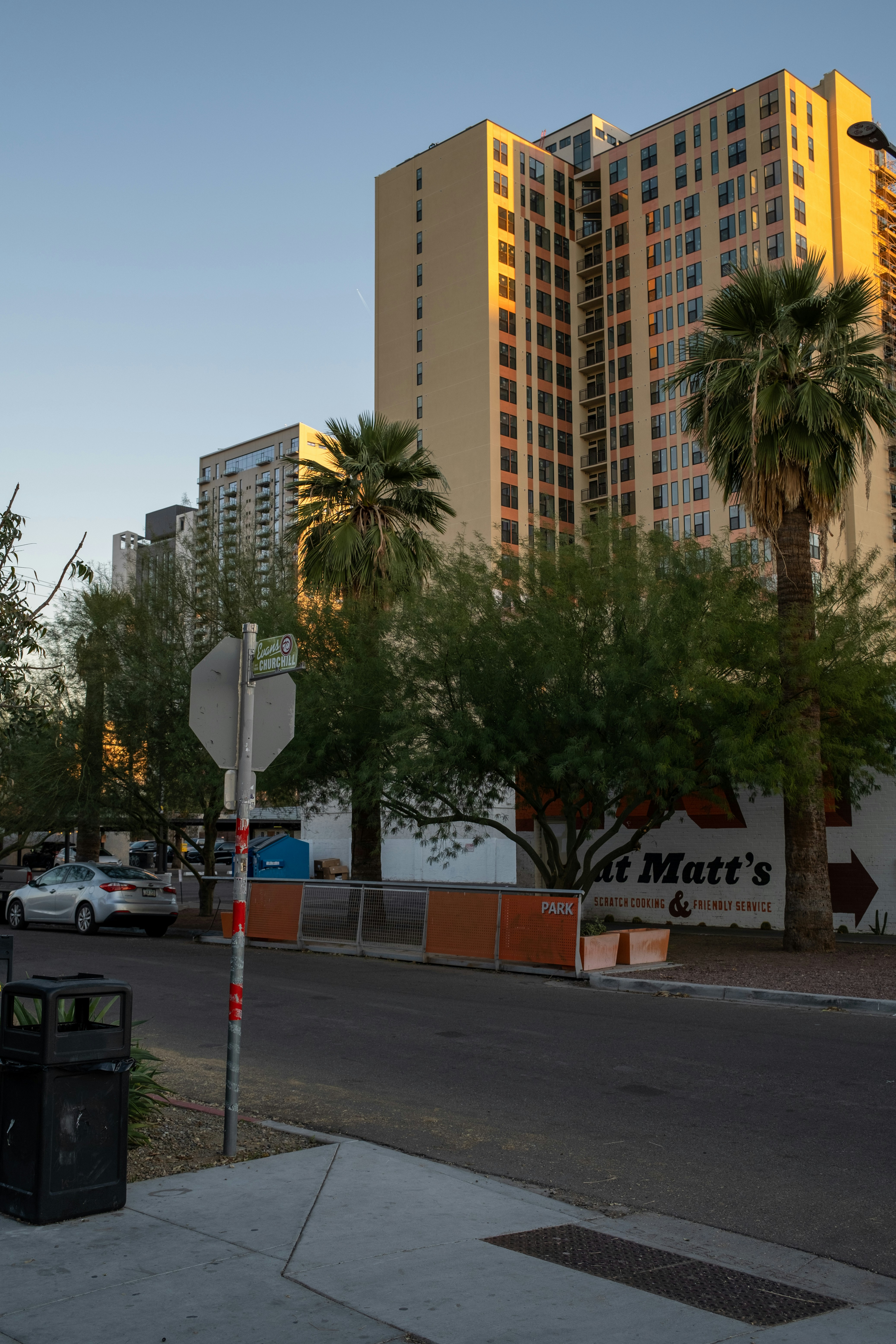 Sunlit Skyline over Palm-Lined Street