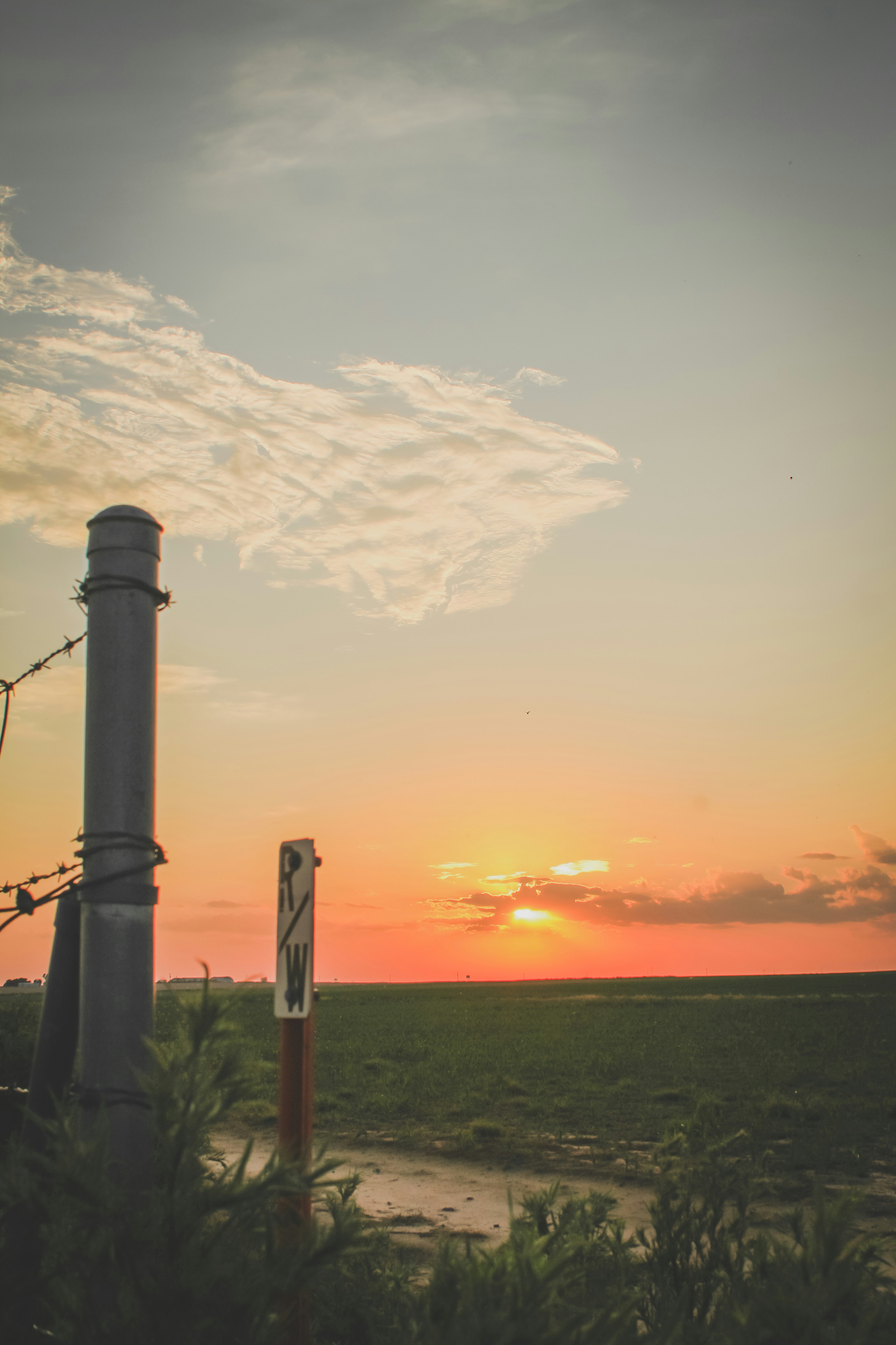 Sunset Barriers: Barbed Silence at the Distant Field