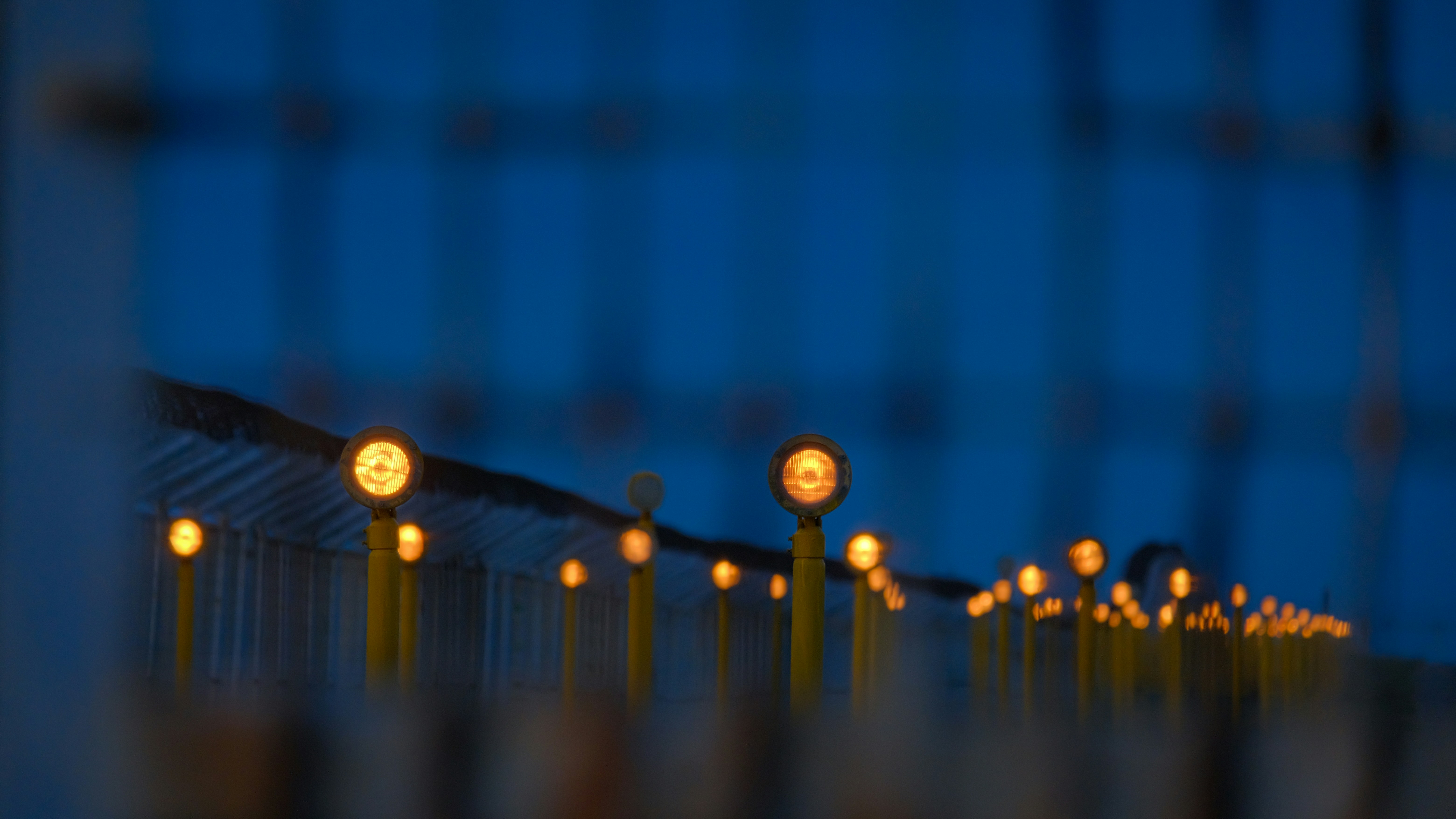 Illuminated Pathway: A Journey Through Light