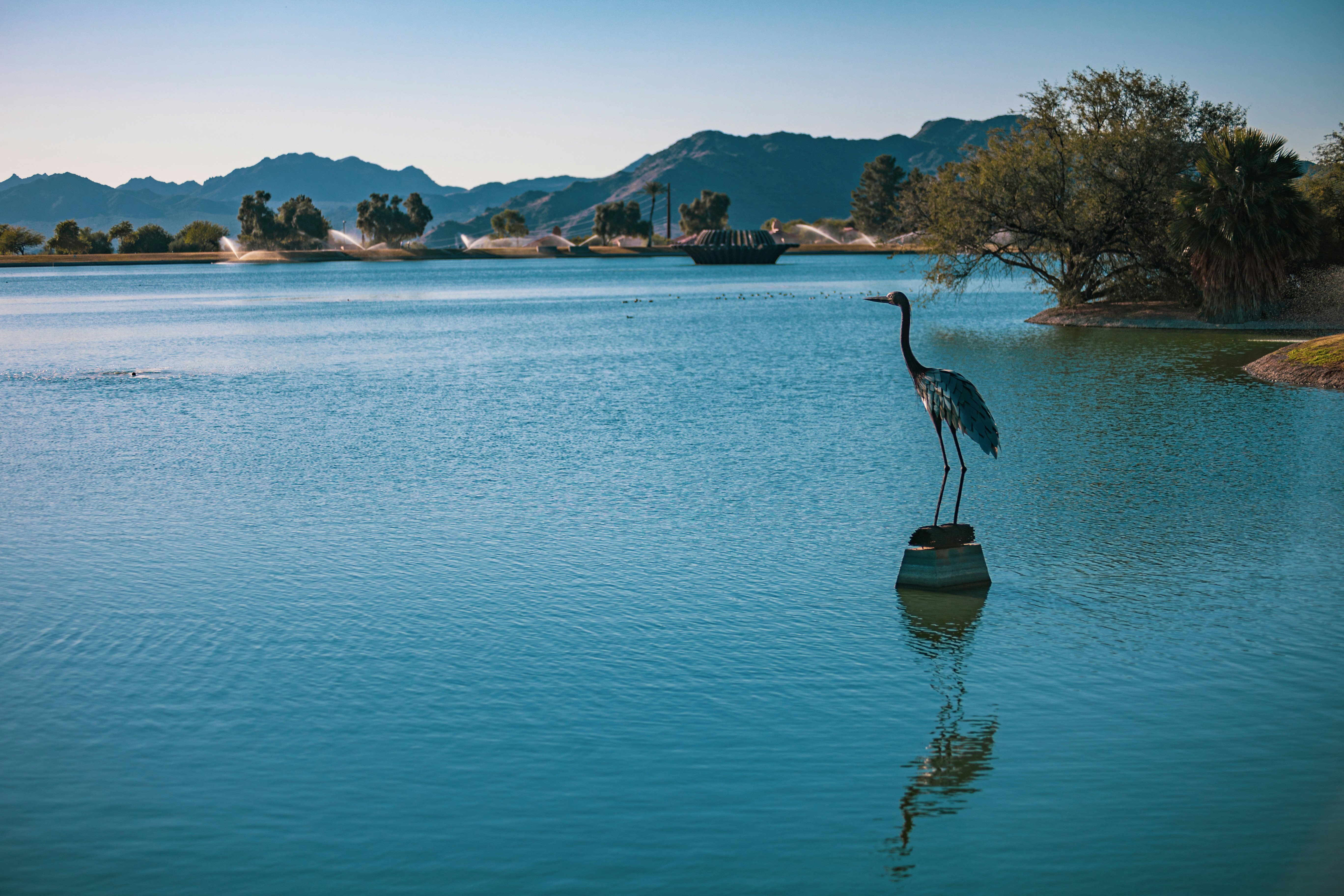 Serene Heron on Tranquil Waters