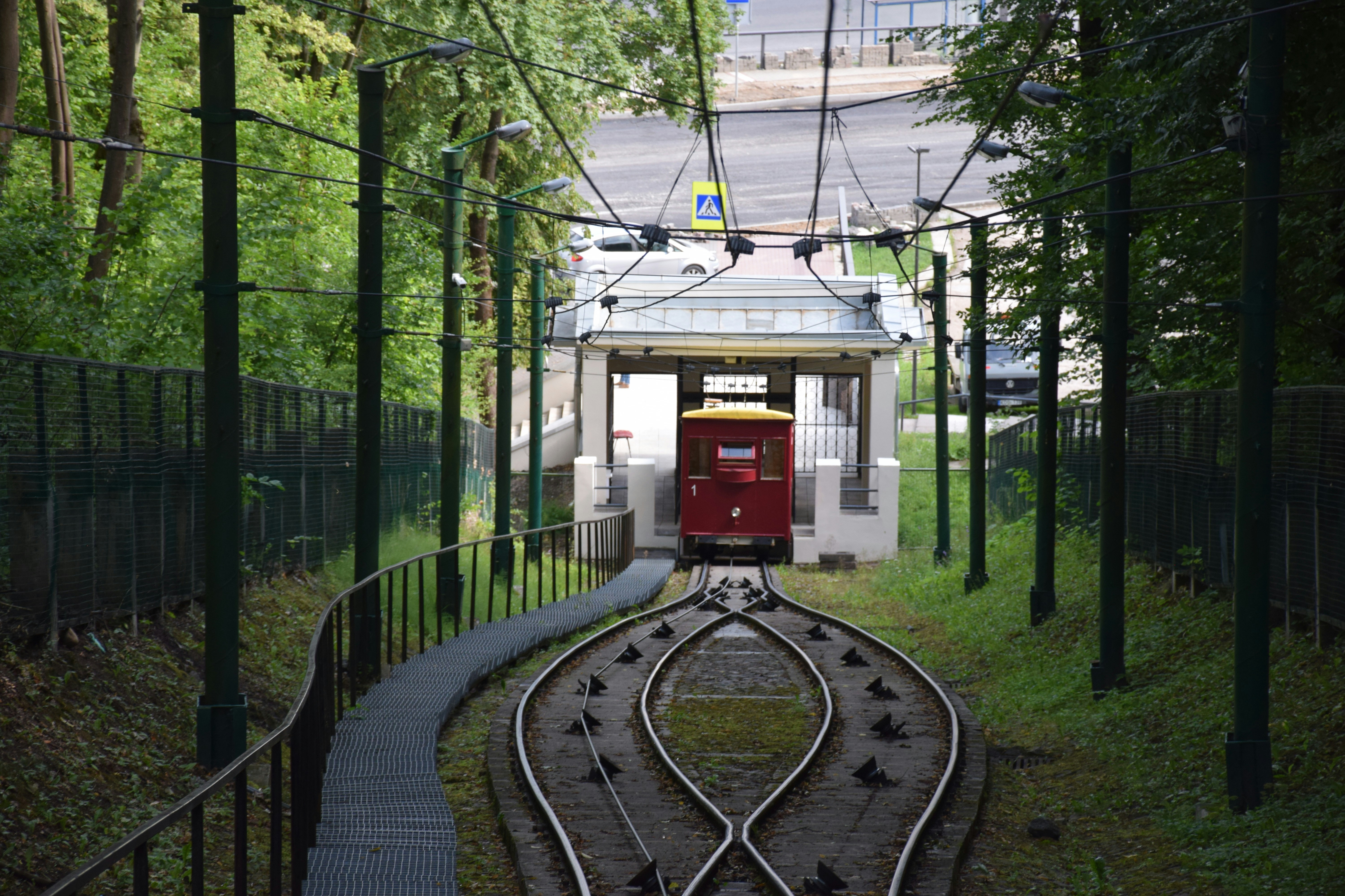 a red train traveling through a lush green forest