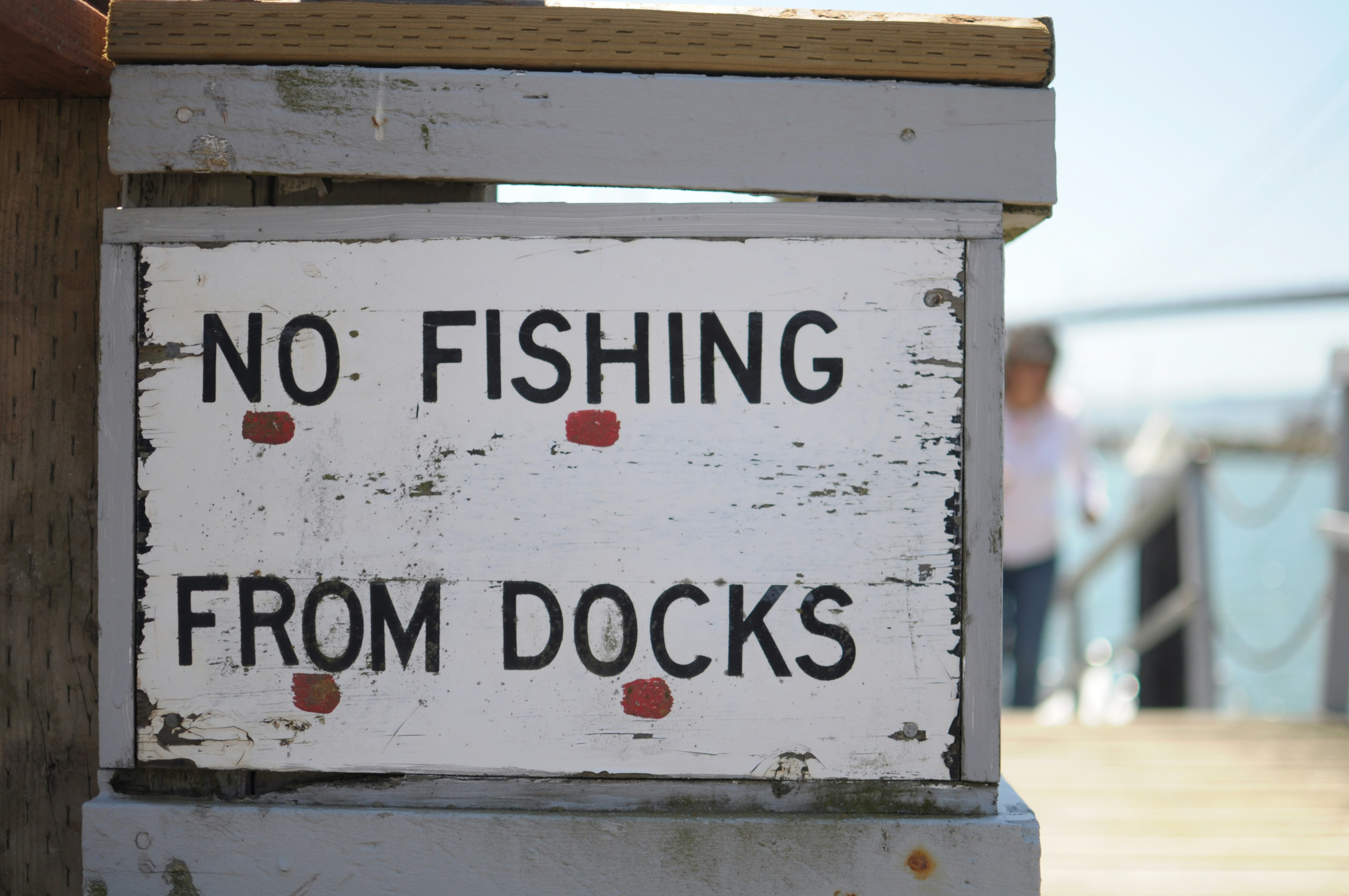 A no fishing from docks sign on a dock photo – Free Grey Image on Unsplash