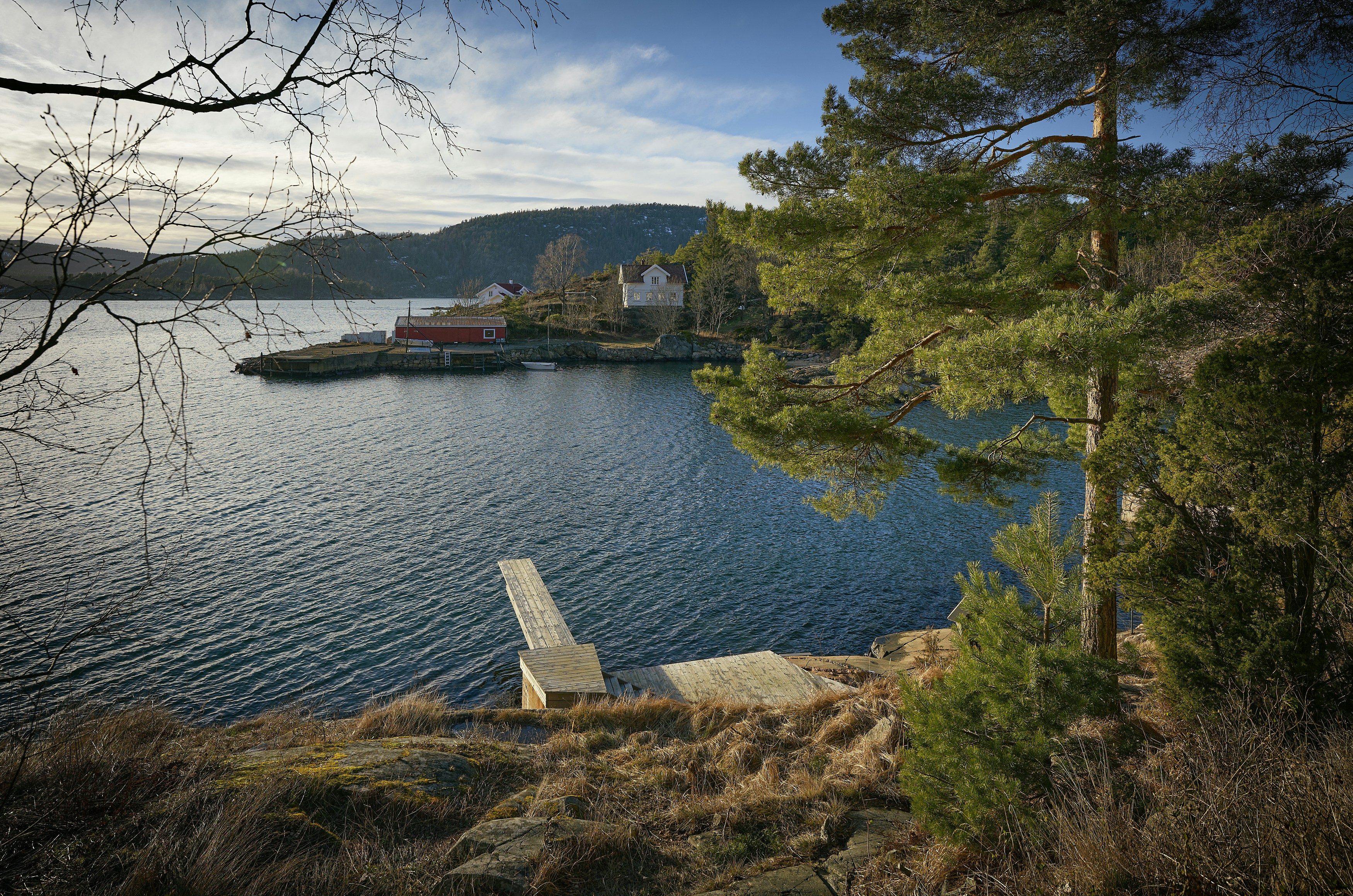a bench sitting on the shore of a lake