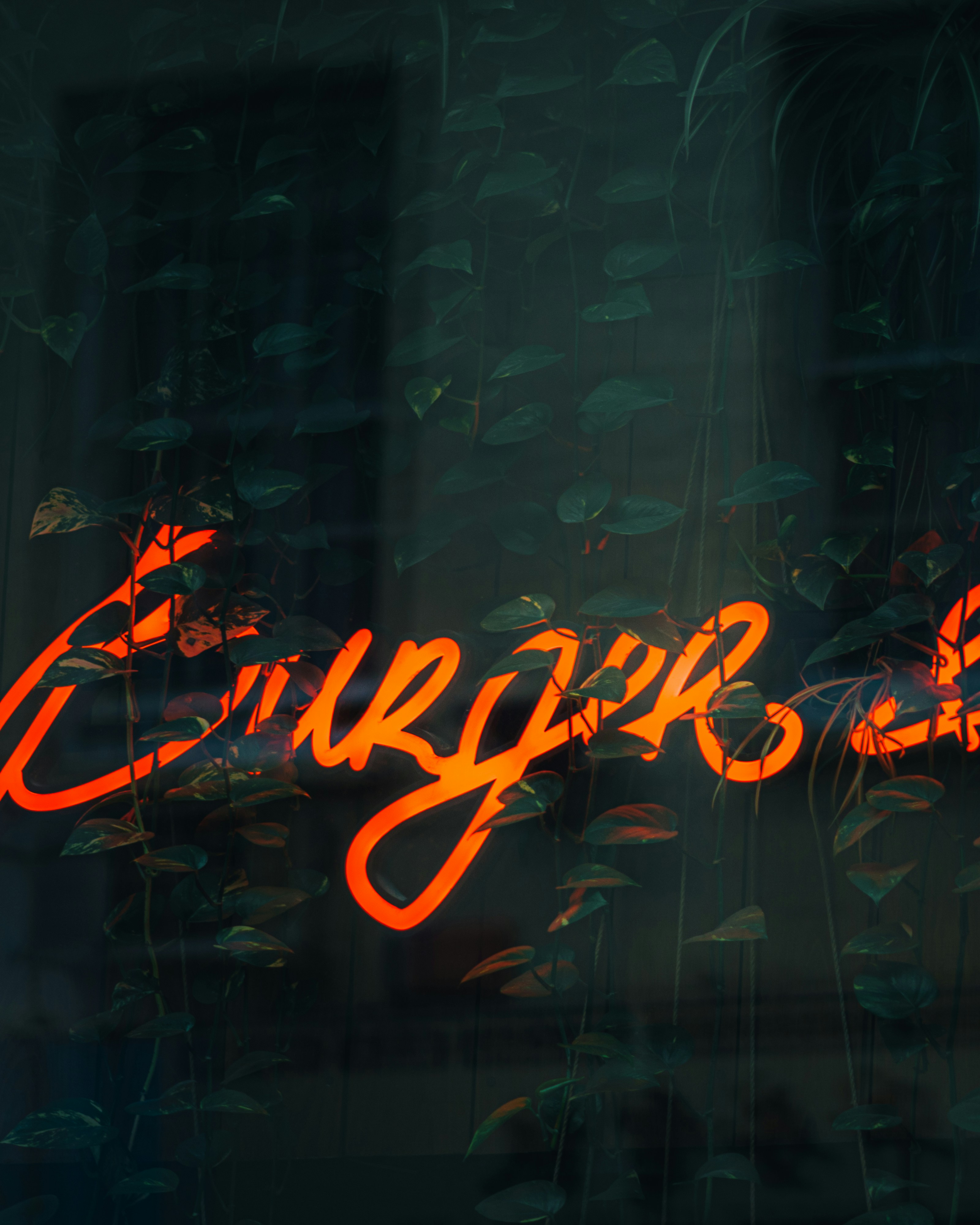 Neon Script in Green Veil: A Glimpse Through Hanging Ivy