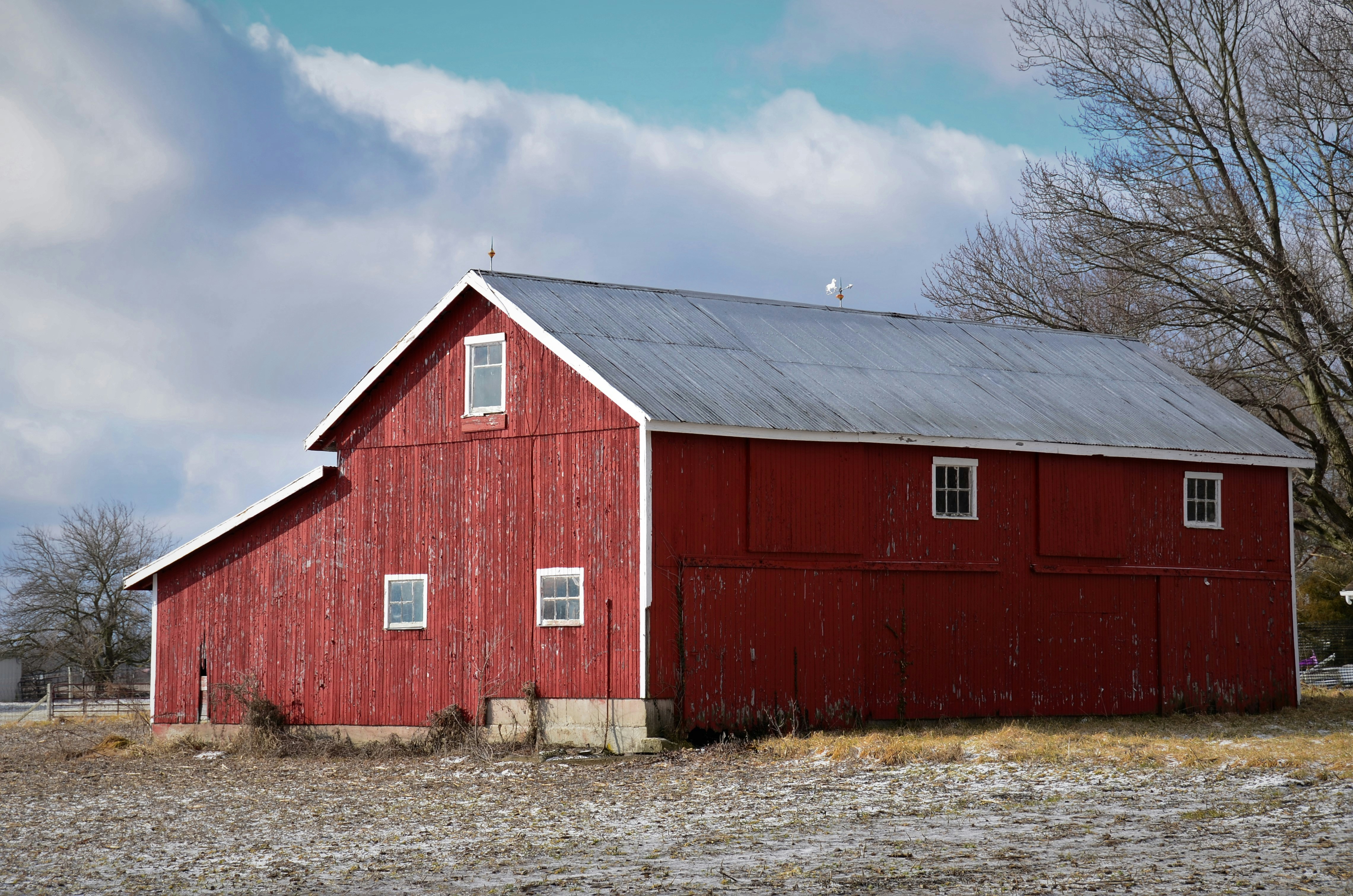 A red barn with a white roof and windows photo – Free Nature Image on ...