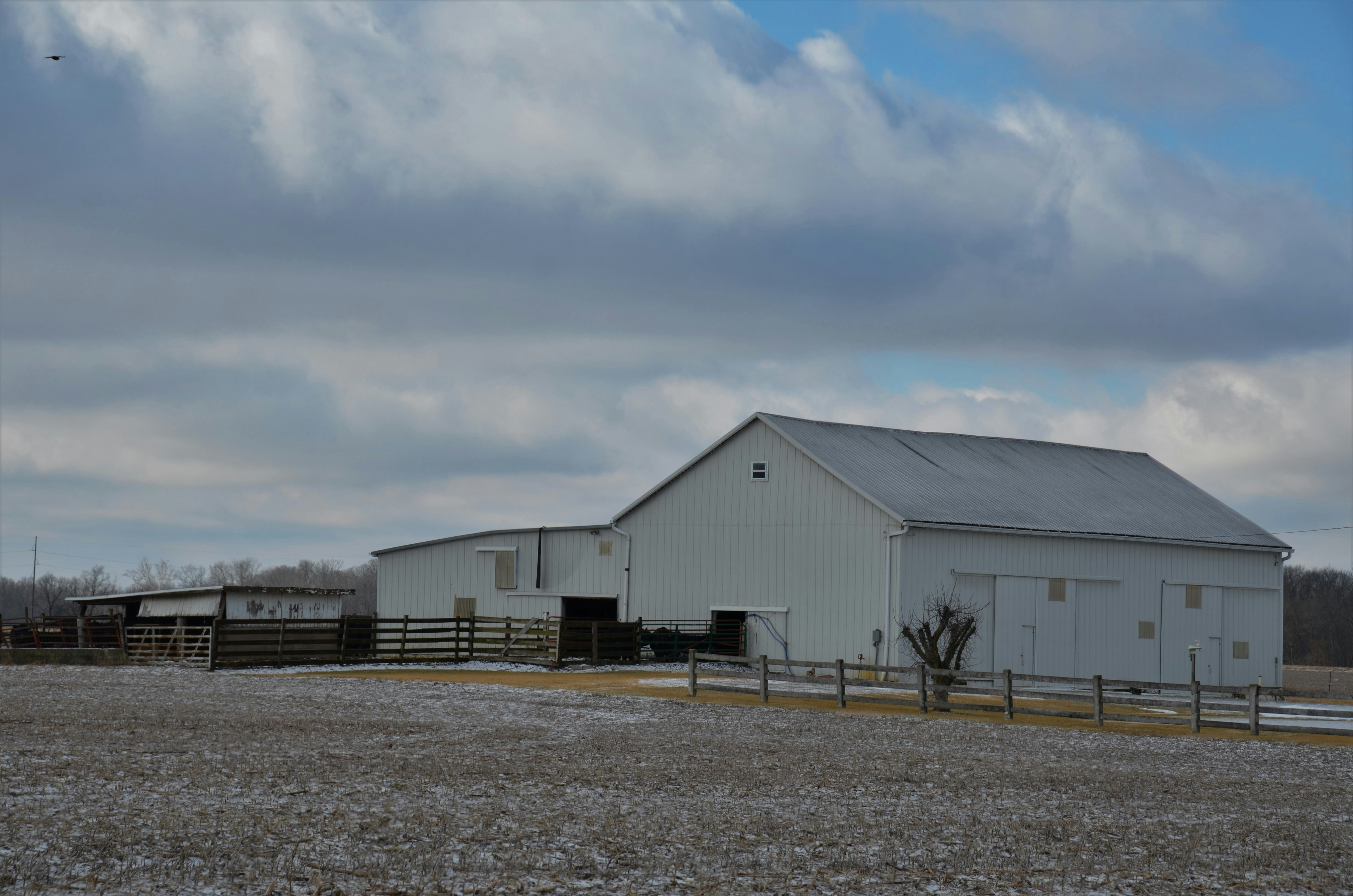 A large white barn sitting on top of a dry grass field photo – Free ...