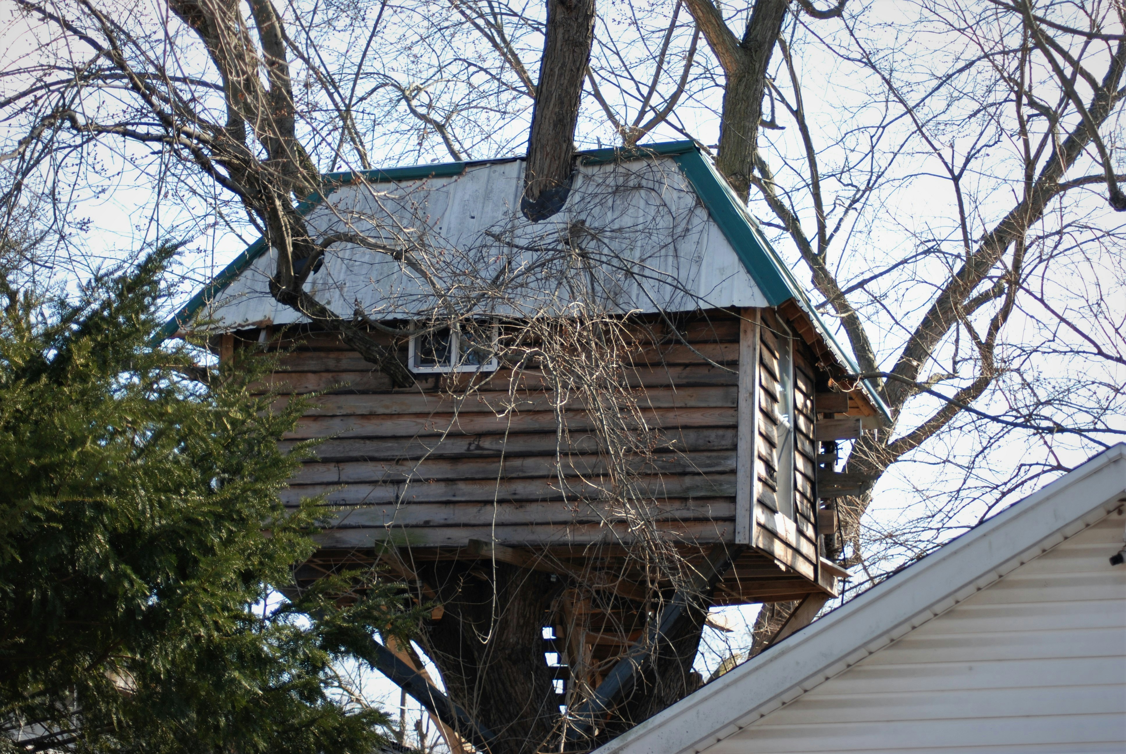 Large nice treehouse